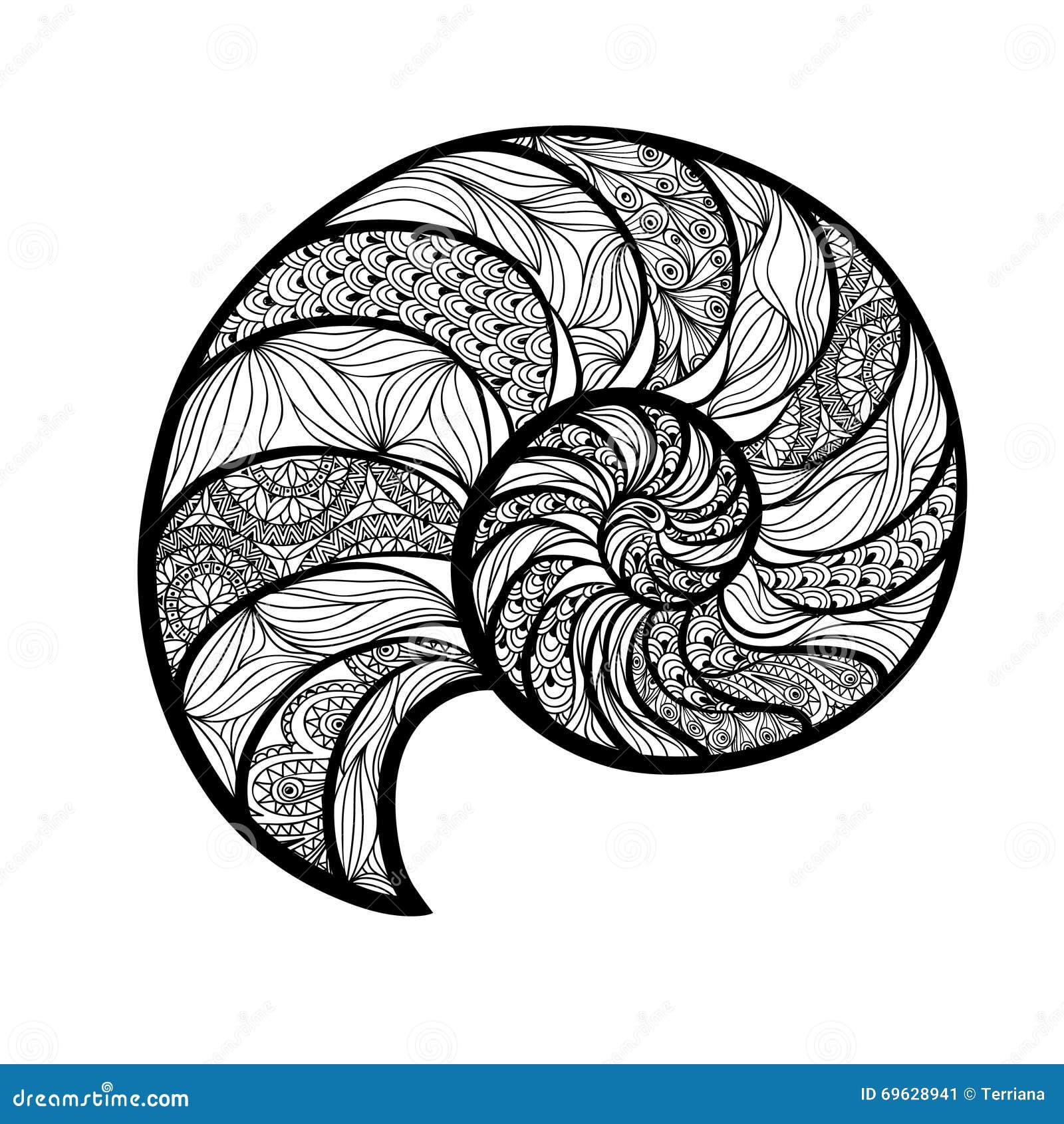 Seashell Nautilus. Sea Shell Set Engraving Illustration is Stock ... Seashell Nautilus. Sea Shell Set Engraving Illustration is Stock ...