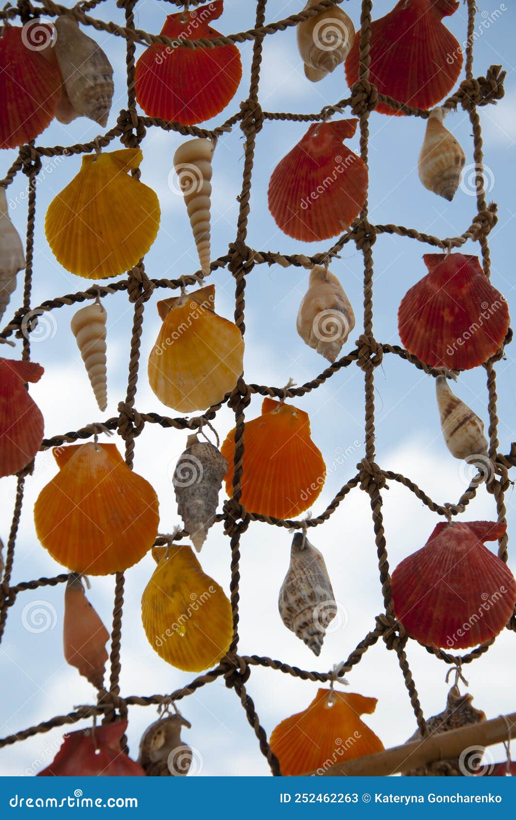 Seashell Net Sky Background. Shell Net Hanging Outdoors. Decorative Net ...