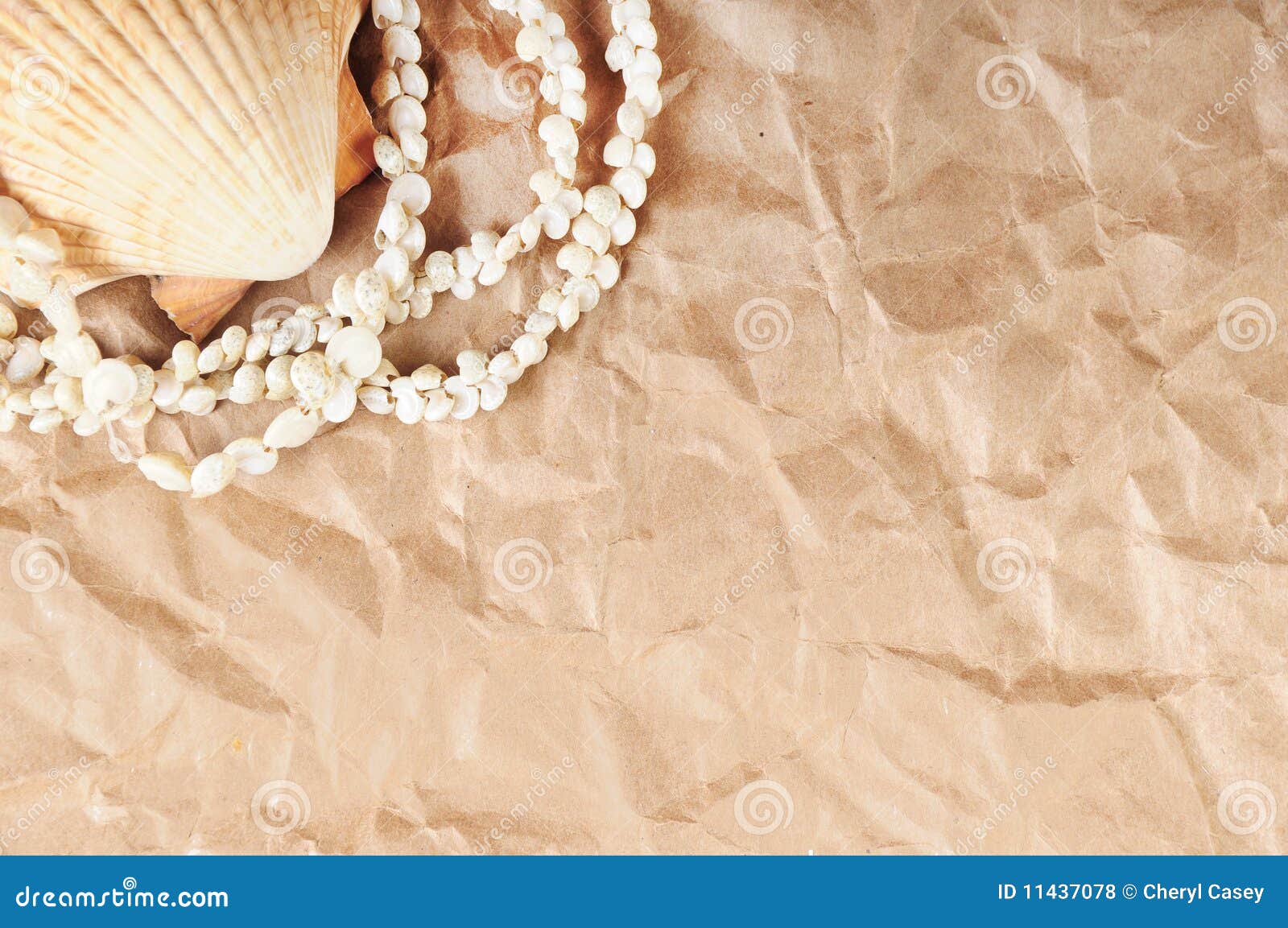 Seashell on paper stock photo. Image of brown, space - 11437078