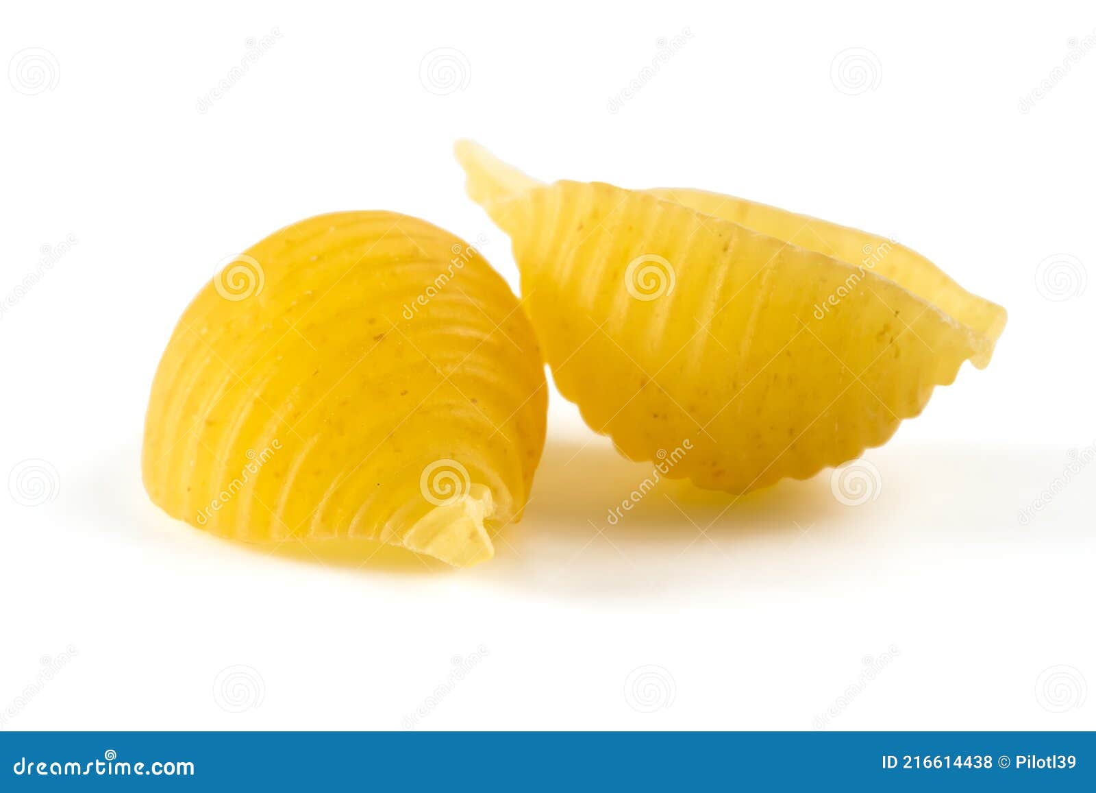Seashell pasta stock photo. Image of healthy, large - 216614438