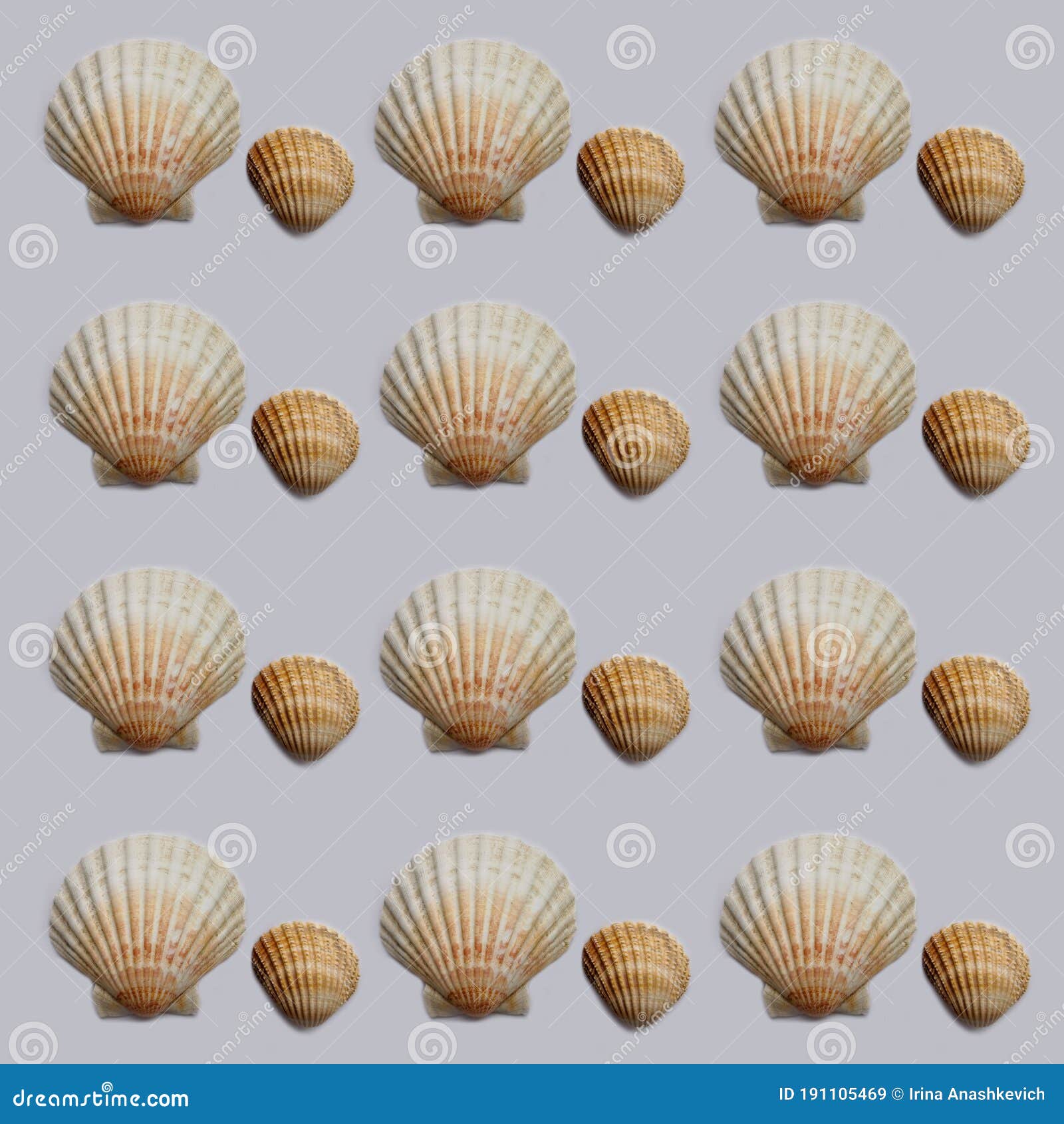 The Texture Of The Shells. Stock Photography | CartoonDealer.com #84423830