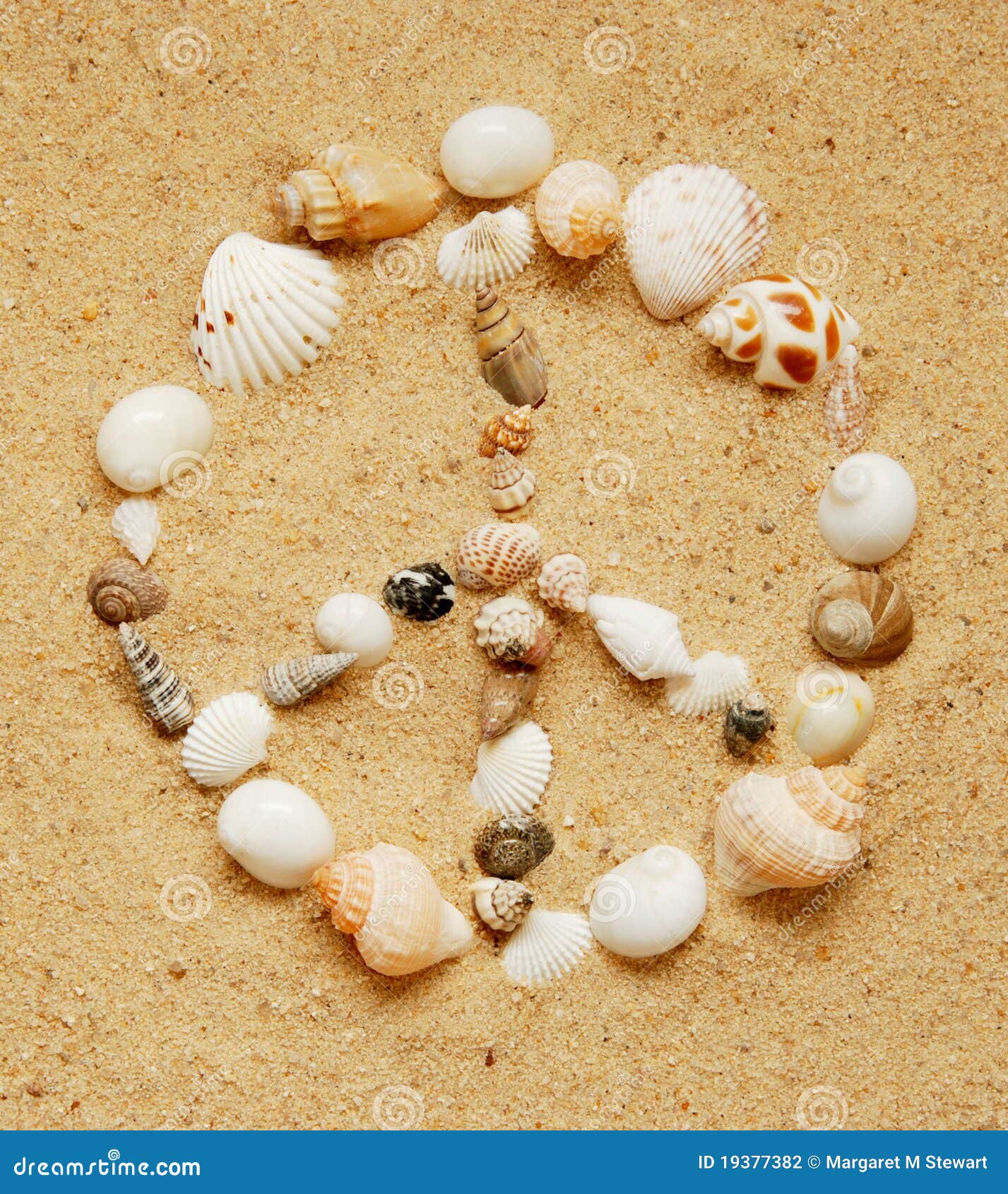 Seashell Peace Sign stock photo. Image of sandy, summer - 19377382
