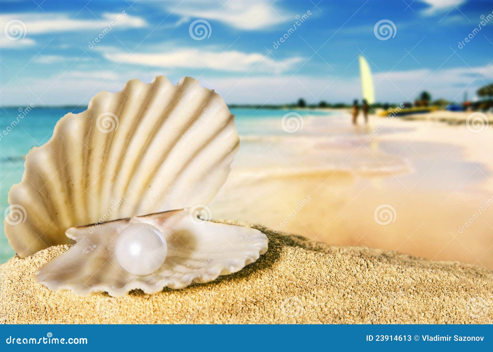 Sea Shell Pearl