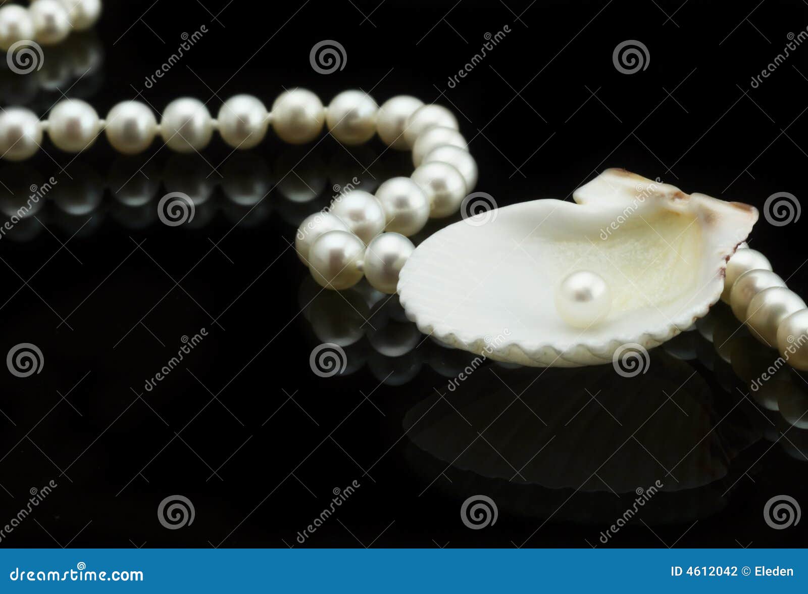 Seashell and pearl stock photo. Image of close, pearls - 4612042
