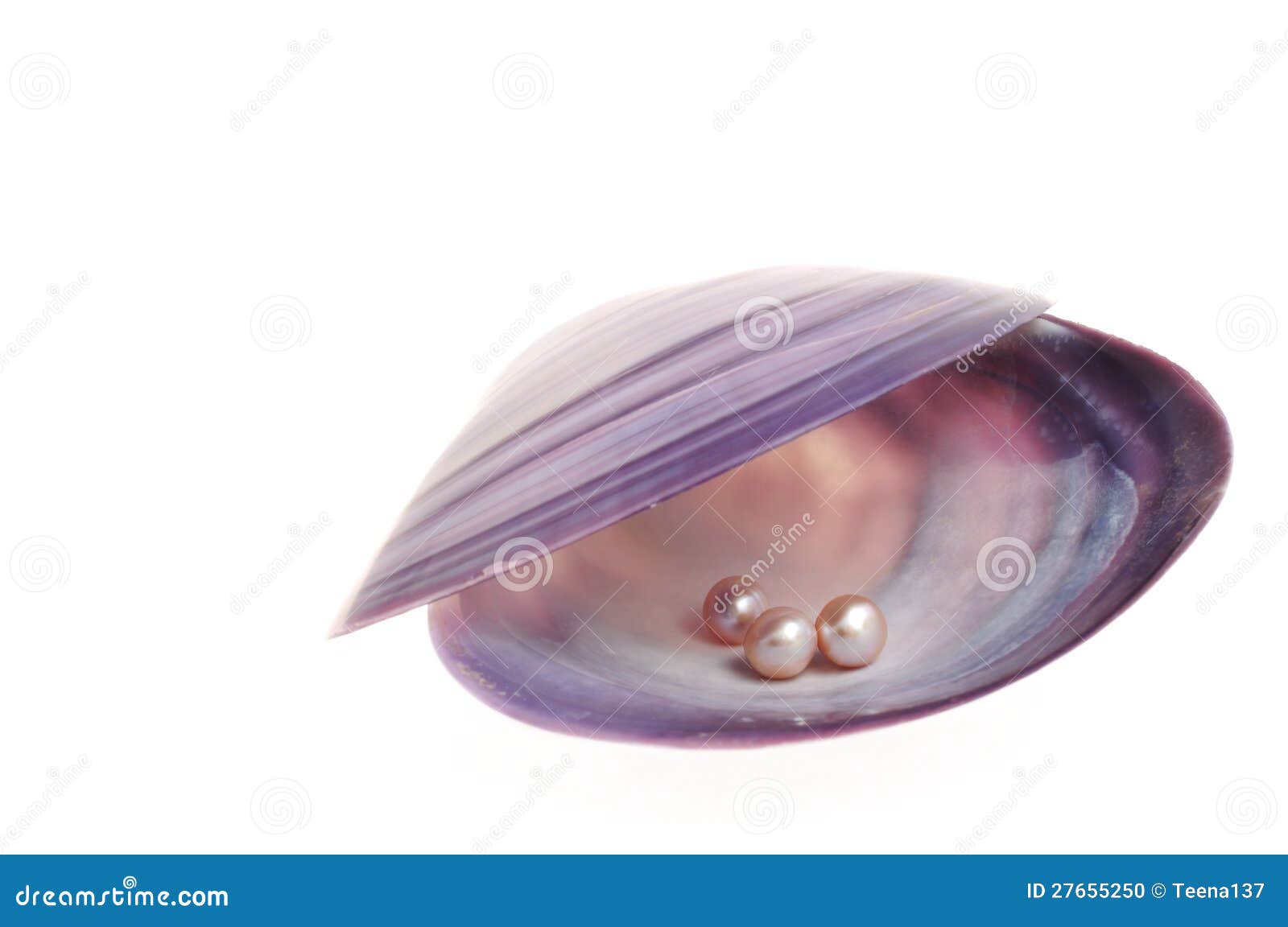Seashell with pearls stock photo. Image of beads, shine - 27655250