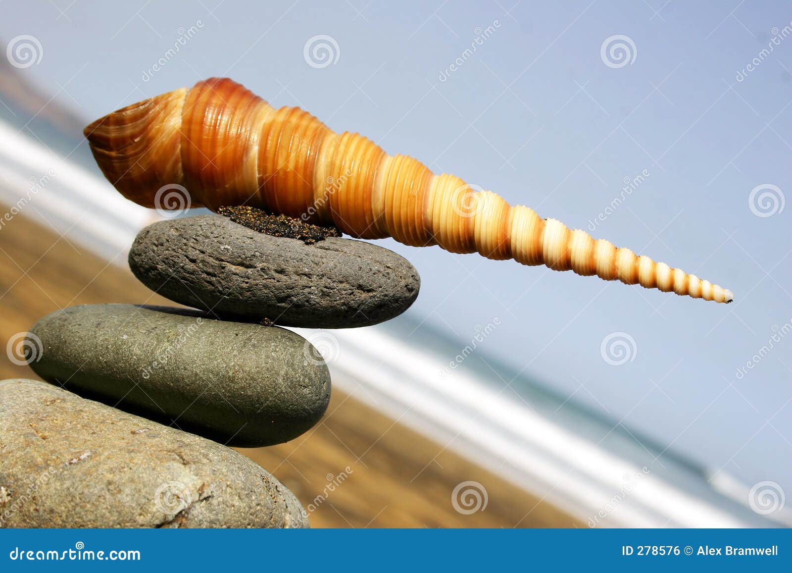Seashell pointing the way stock photo. Image of coast, pebble - 278576