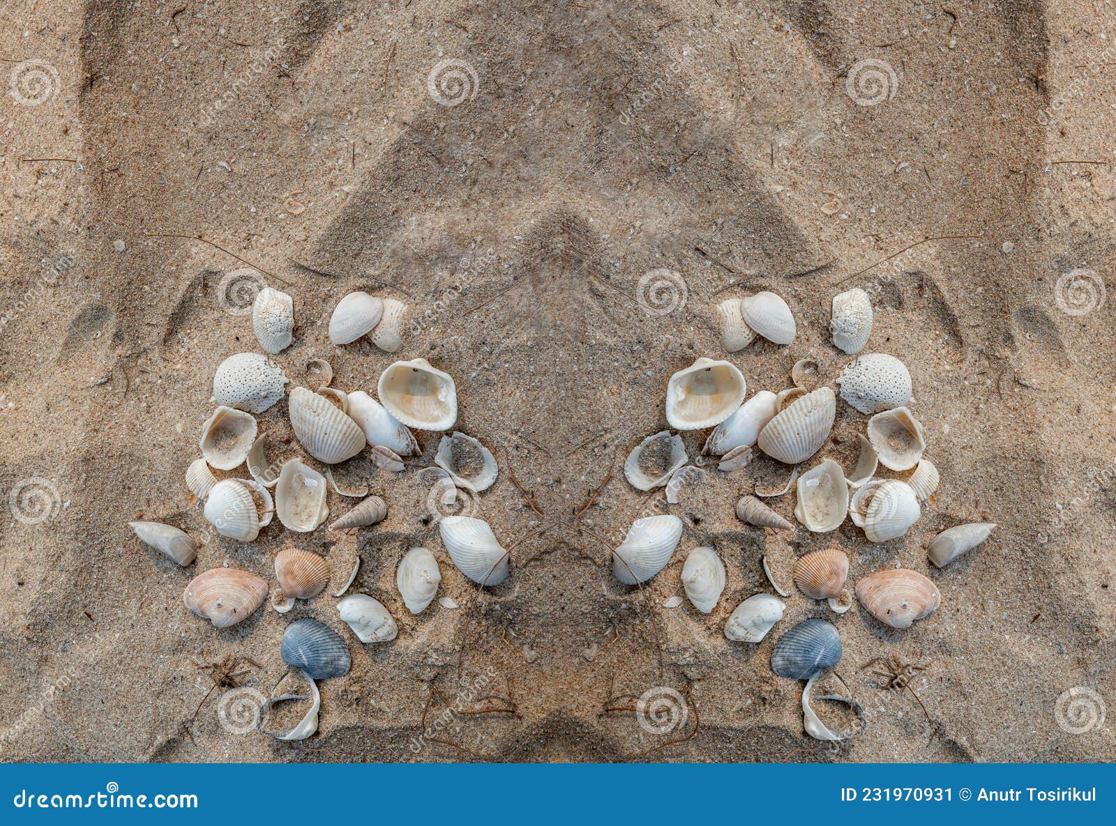Seashell in Sand on the Beach. Sand Pattern of a Beach in the Summer ...