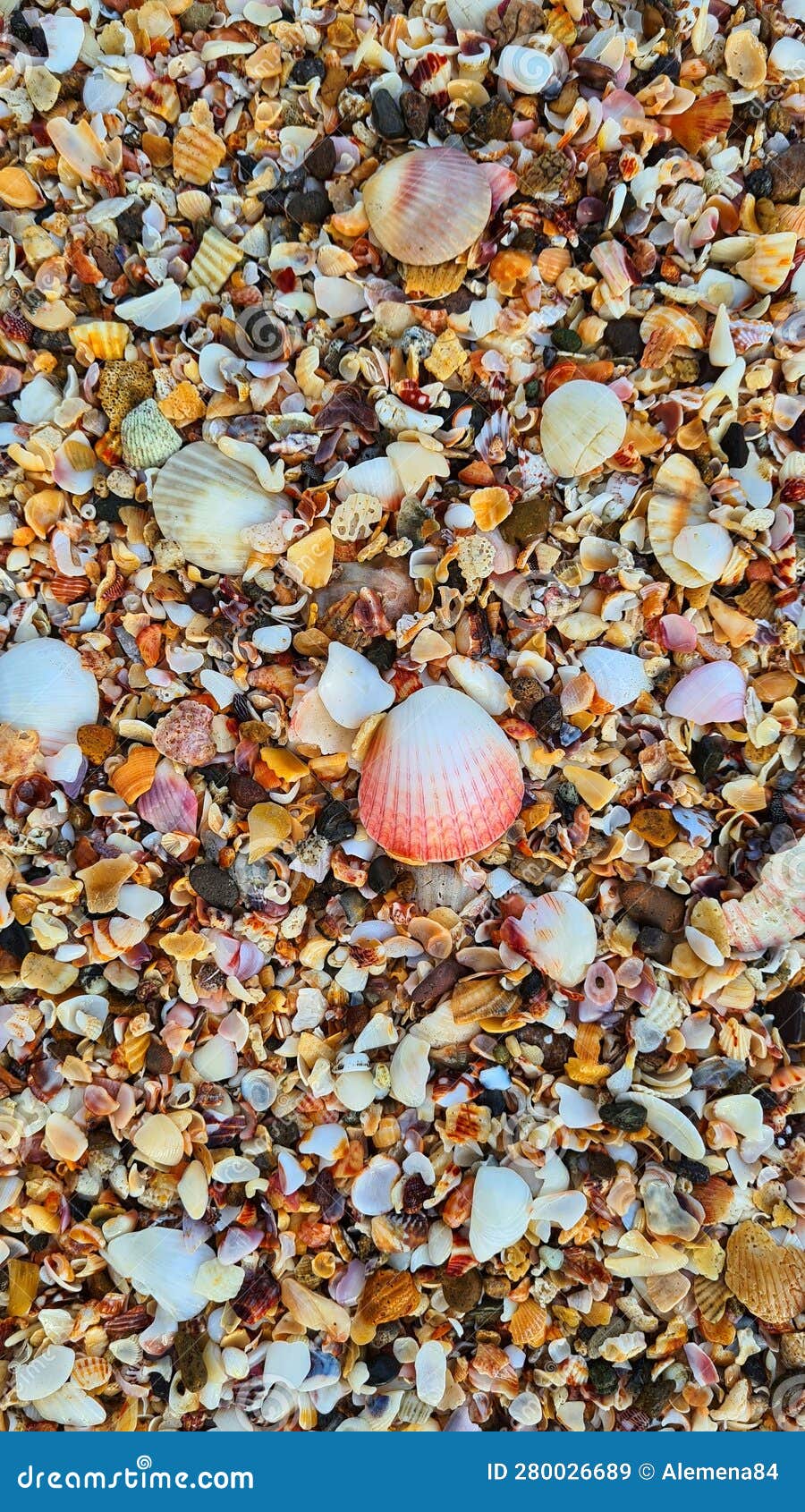 Seashell Sand at Playa Bonita Stock Image - Image of seashell, sand ...