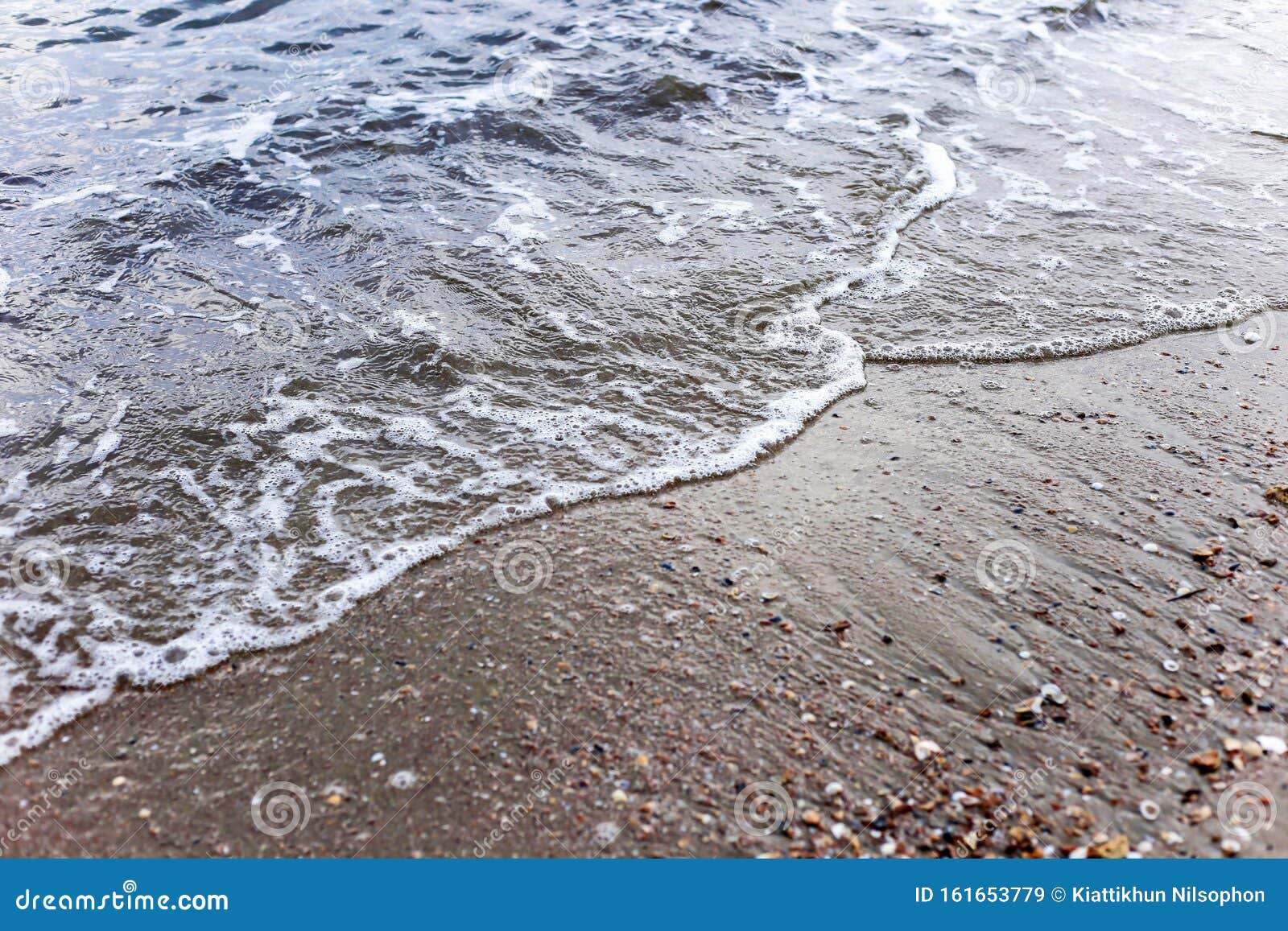 Seashell on the Sandy Beach with Ocean Tidal Waves Breaking on a Sand ...