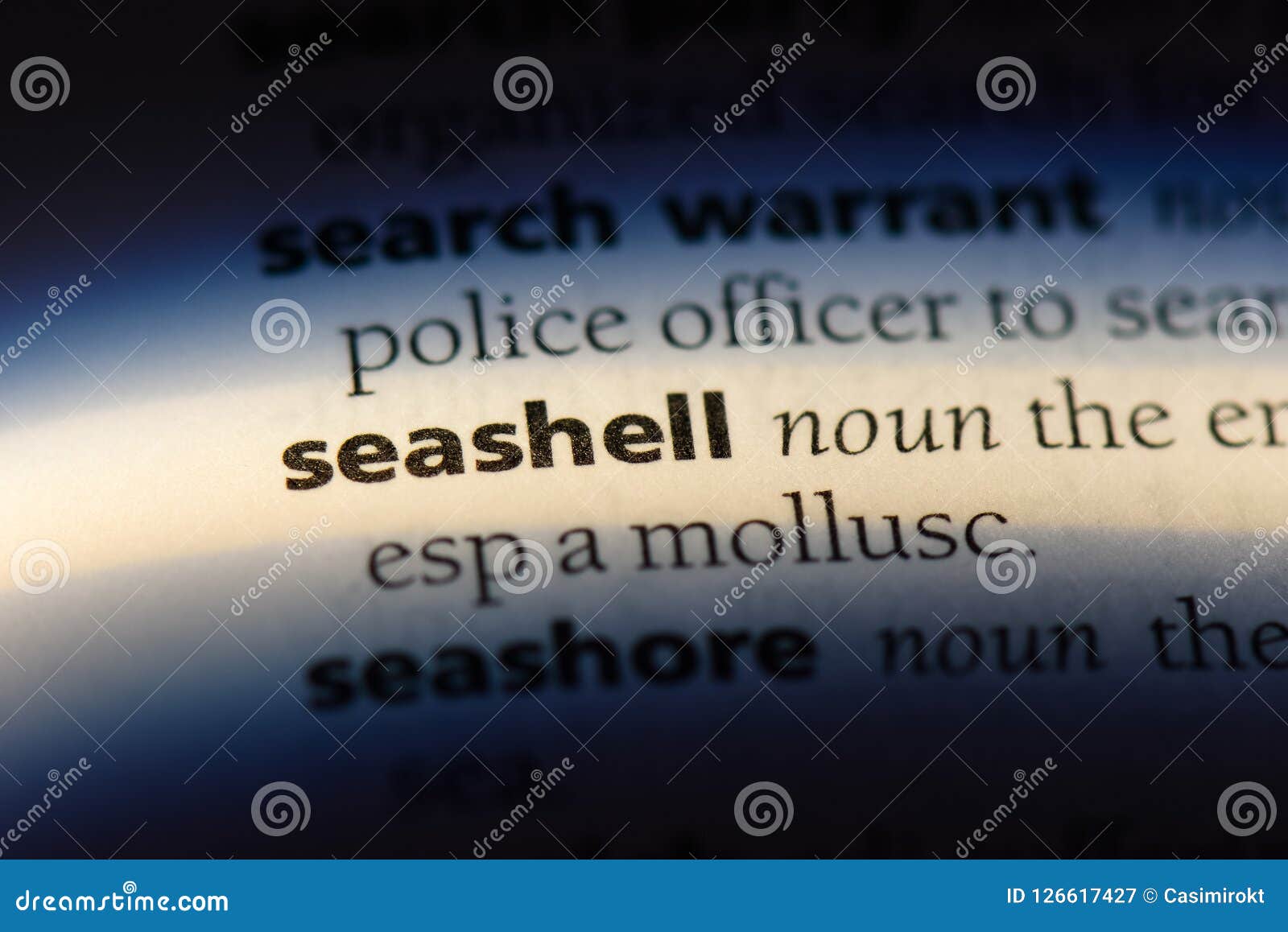 Seashell stock image. Image of english, concept, macro - 126617427
