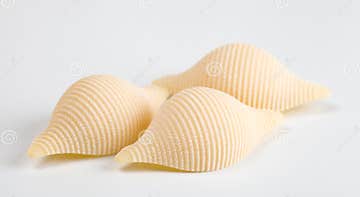 Seashell shaped pasta stock photo. Image of background - 23977416