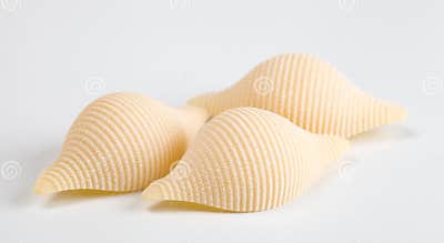 Seashell shaped pasta stock photo. Image of background - 23977416