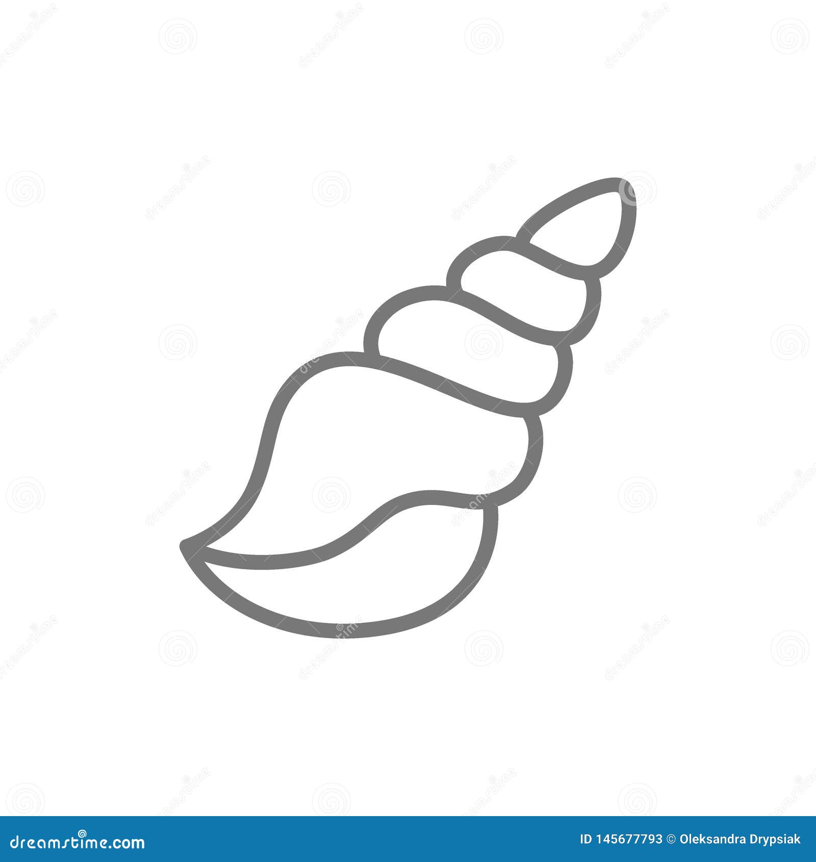 SHELL LINE ART. Vector Sea Shell. Continuous Line Drawing Vector ...