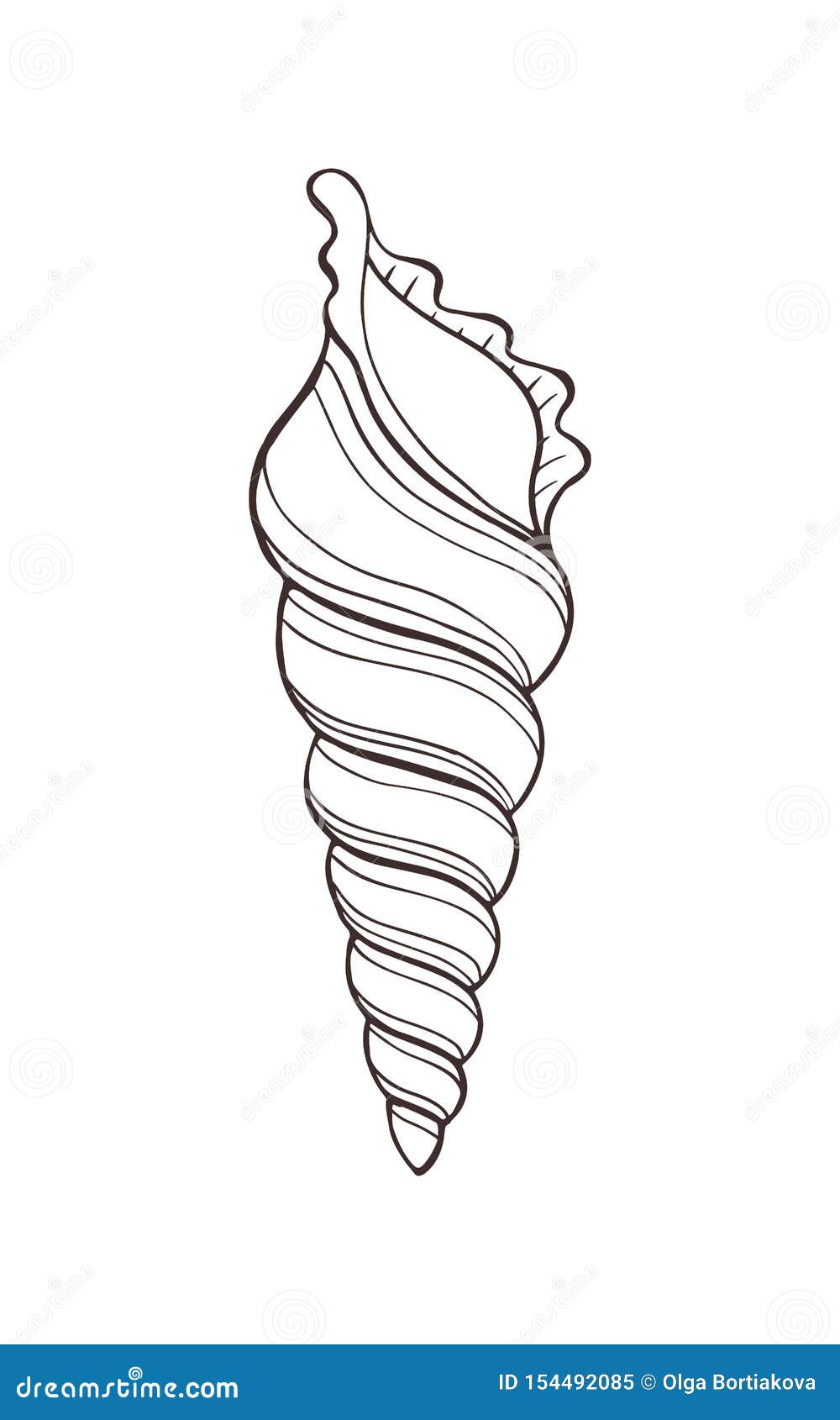 Seashell Sketch Collection Vector Illustration Stock Vector ...