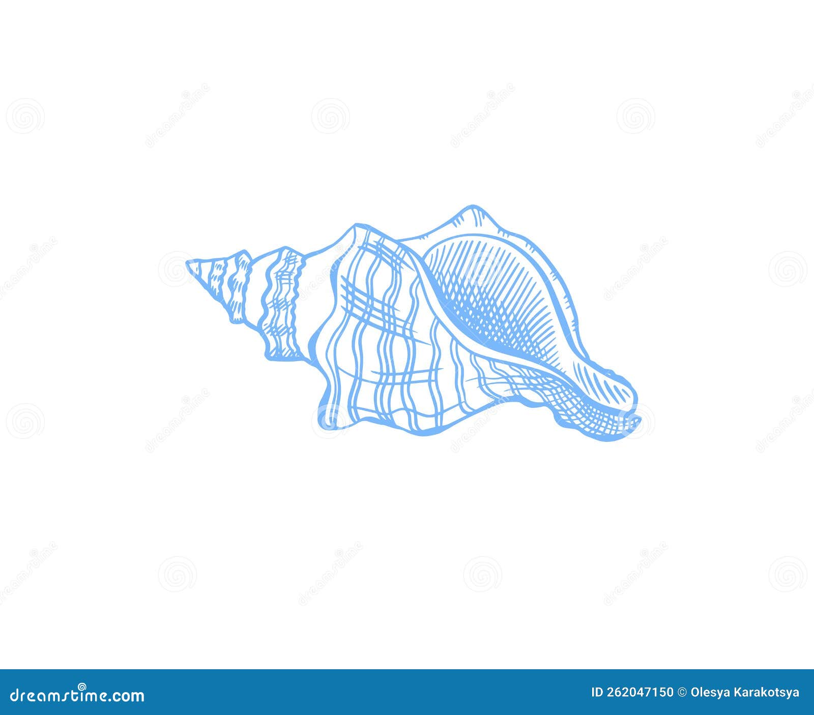 Seashell Sketch Drawing Vector Illustration Stock Vector - Illustration ...