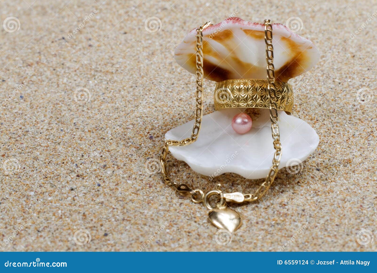 Seashell special gifts stock photo. Image of pink, marine - 6559124