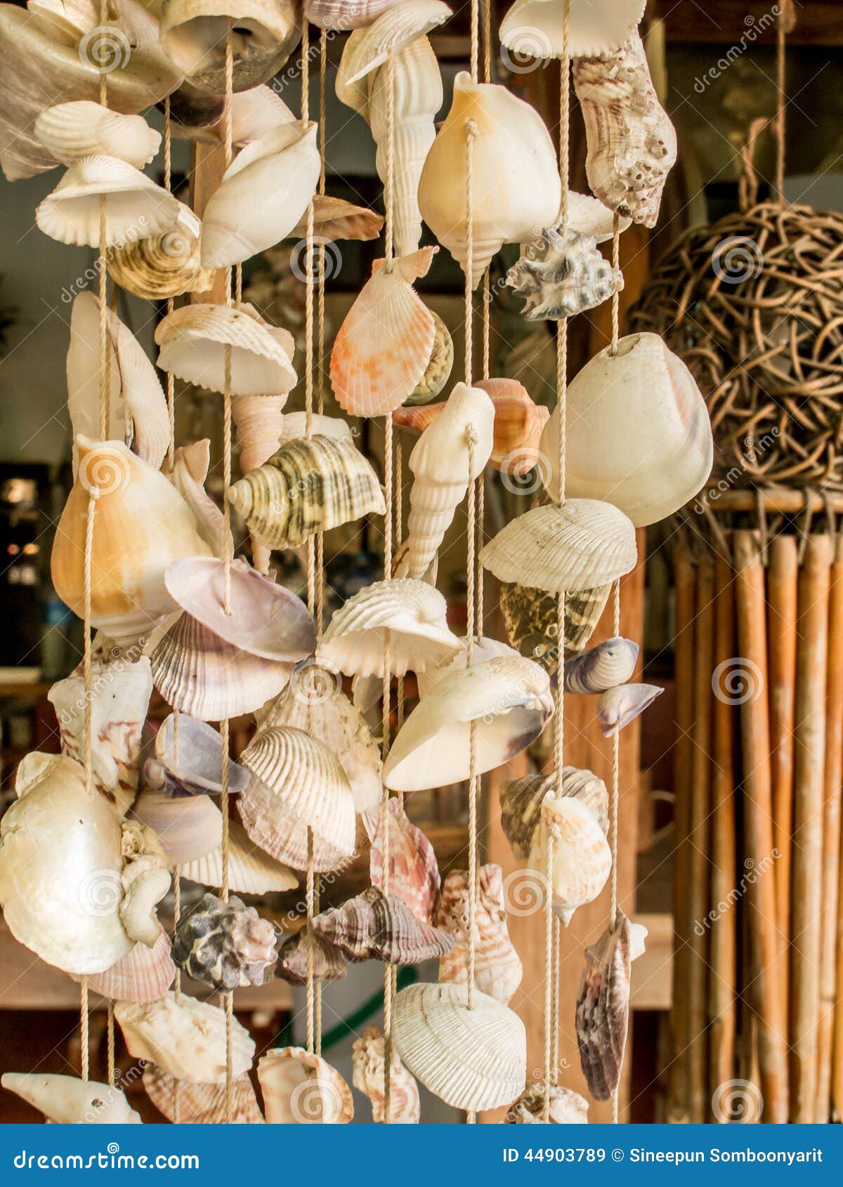 Seashell string curtain stock image. Image of shell, decorative - 44903789