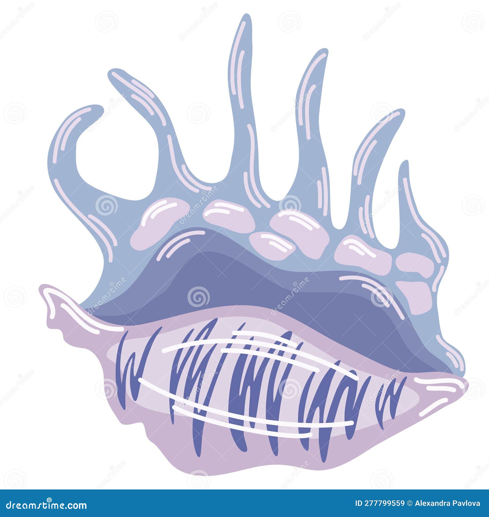 Seashell Summer Draw And Text With Seamless Texture - Germany Vector ...