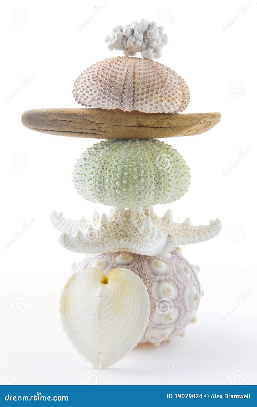 Seashell Tower stock photo. Image of shaped, tower, beach - 19079024