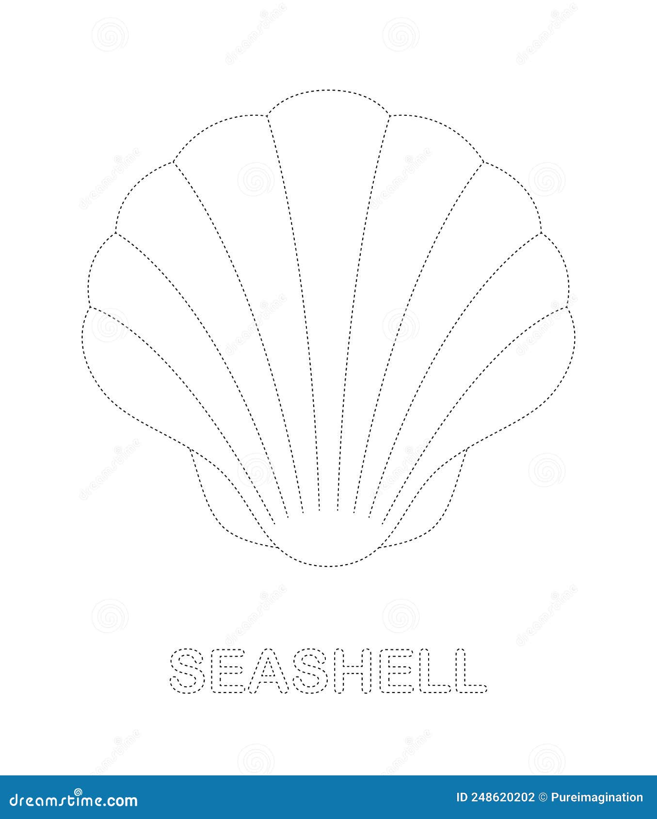 Seashell Tracing Worksheet for Kids Stock Vector - Illustration of ...