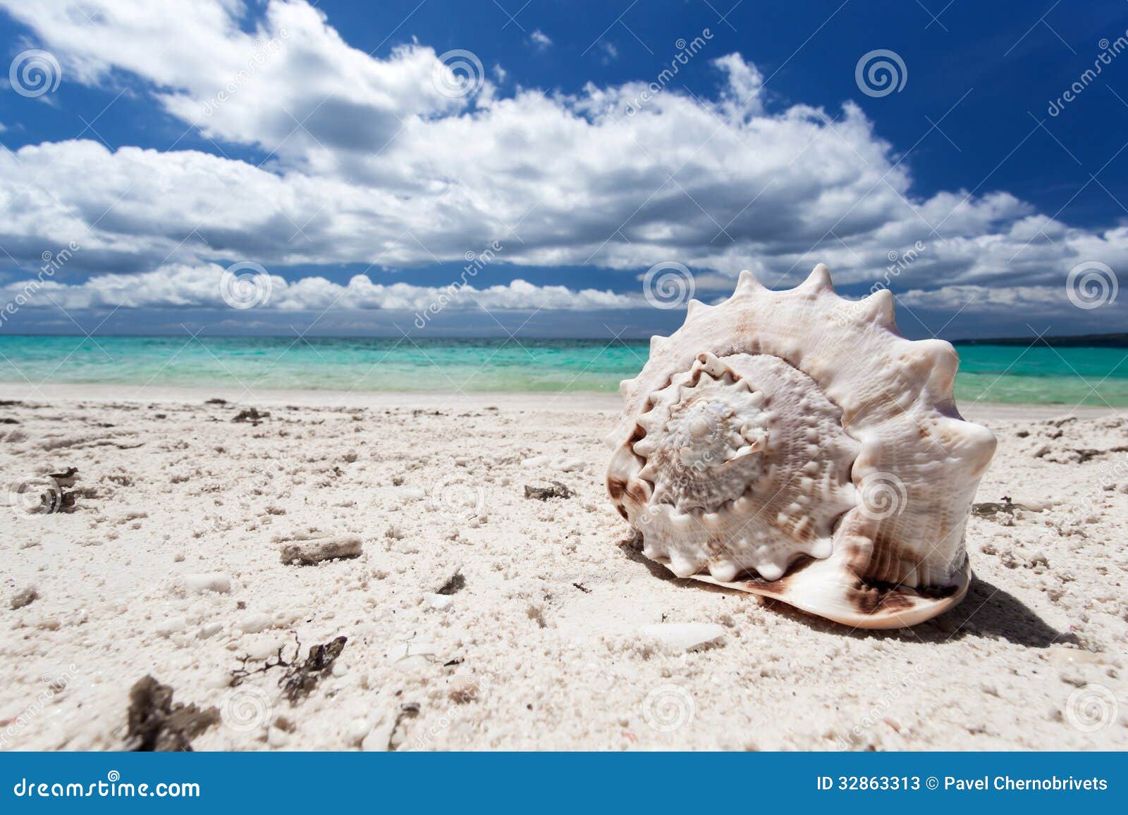 Seashell on Tropical Beach, Boracay Stock Image - Image of coast ...