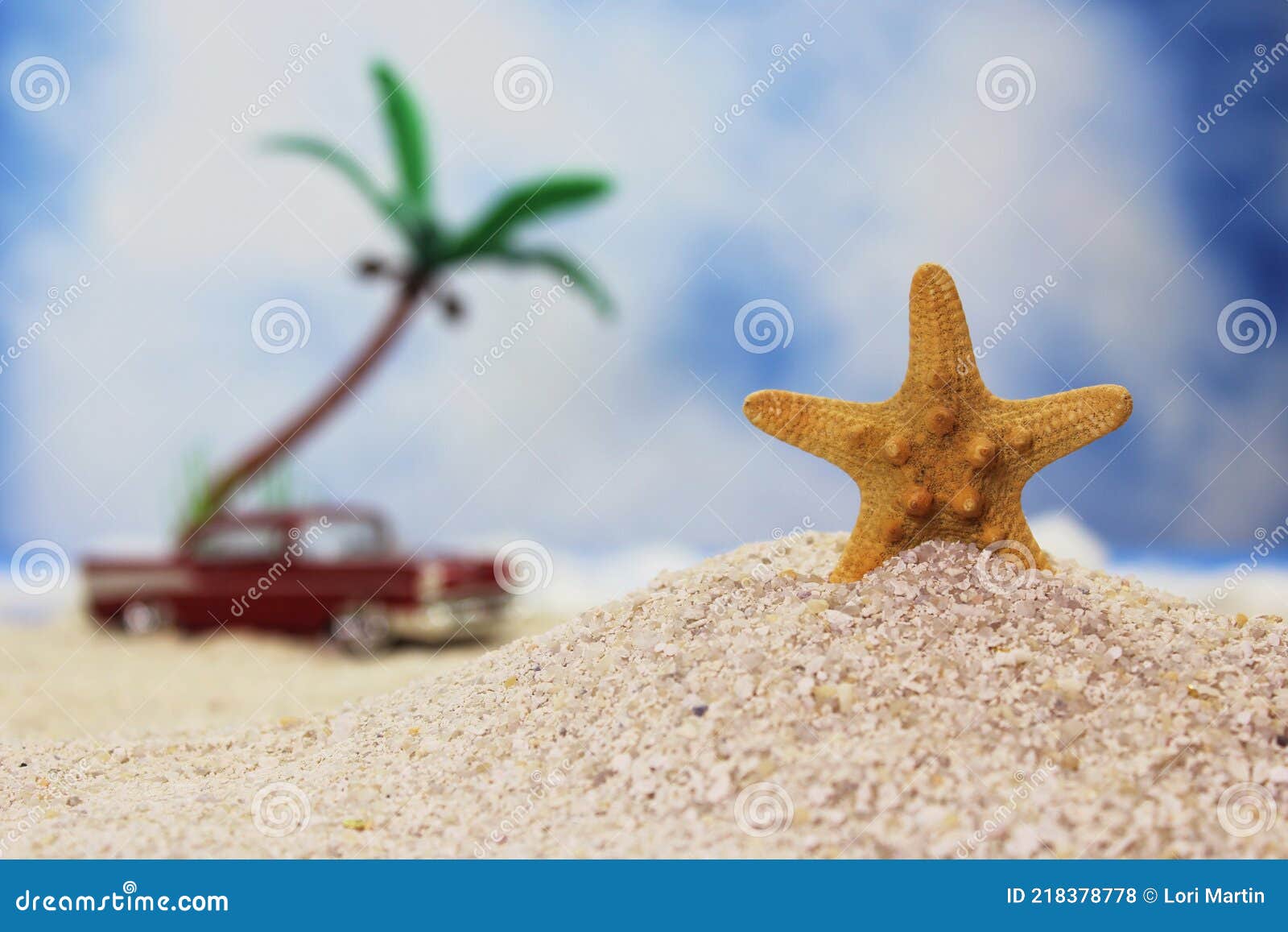 Seashell on Tropical Beach with Vintage Hot Rod Stock Photo - Image of ...