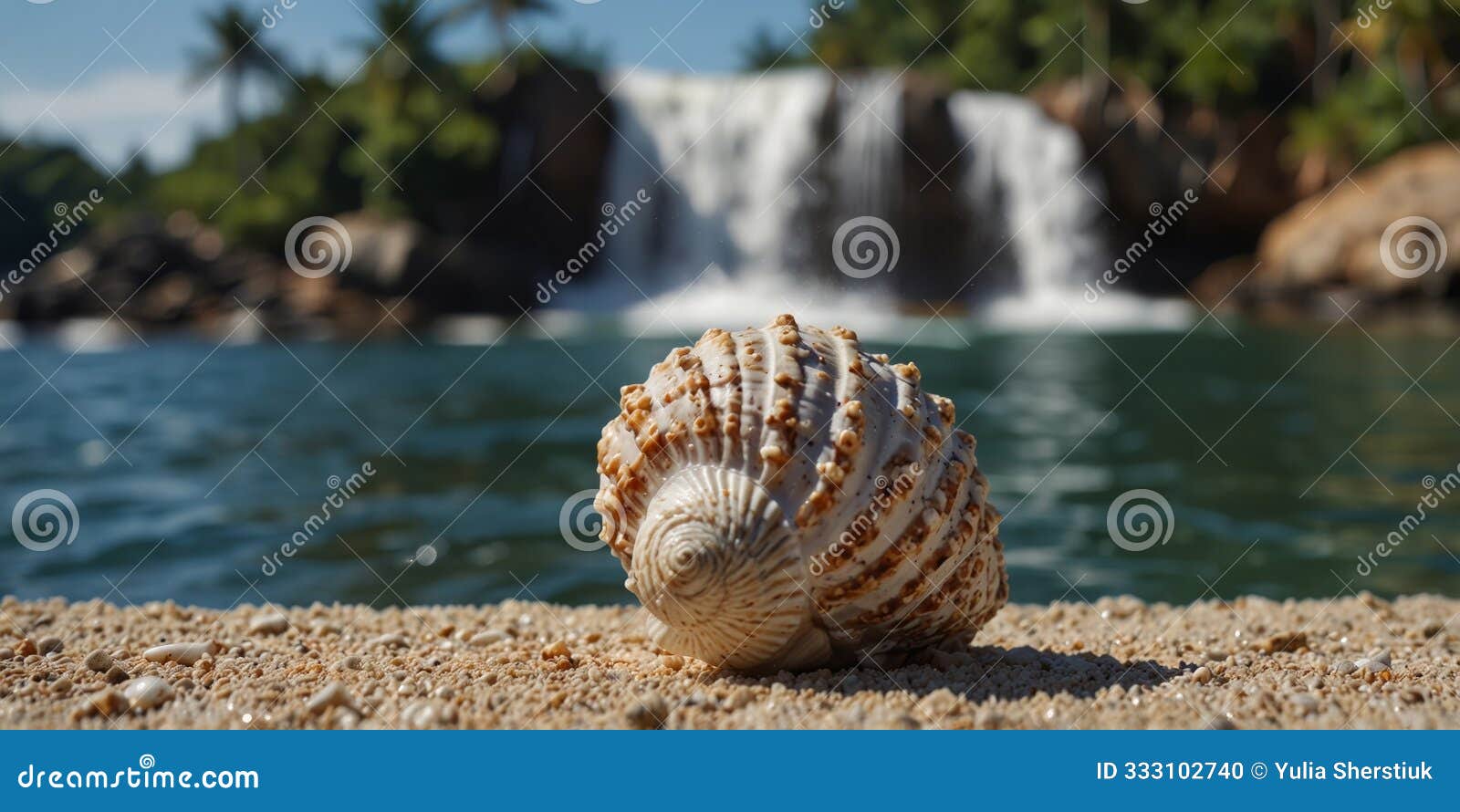 Seashell on Tropical Beach with Waterfall and Blue Sky. Stock Photo ...