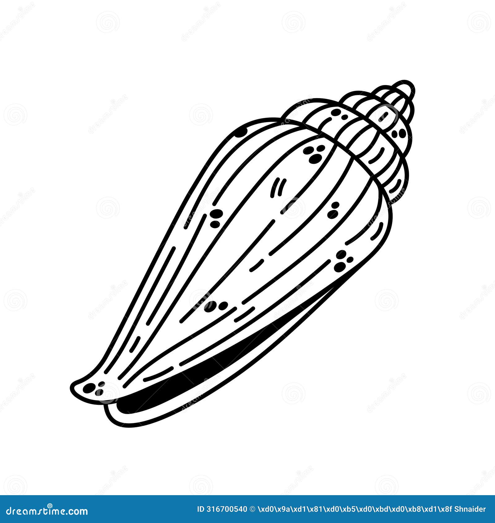 Seashell Vector Icon. Relief Cone Shell with Spots and Stripes ...