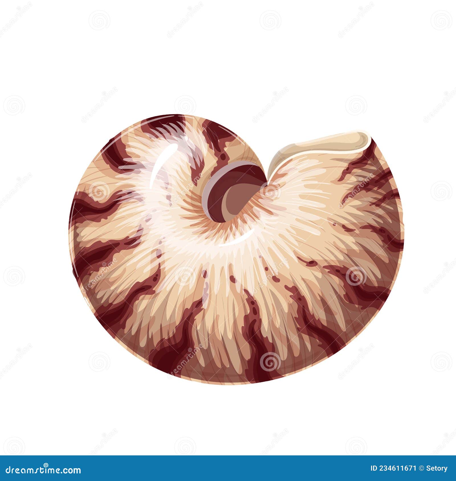 Seashell Icon, Underwater Theme Stock Vector - Illustration of spiral ...