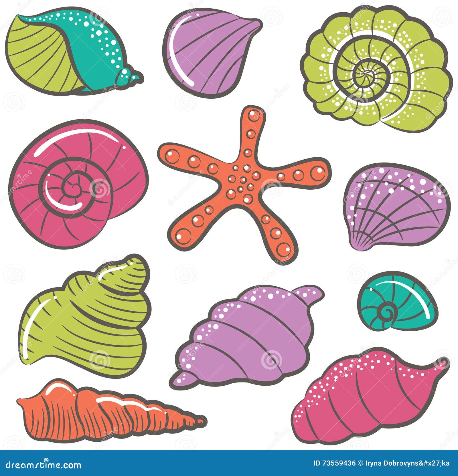 Seashell vector set stock vector. Illustration of collection - 73559436