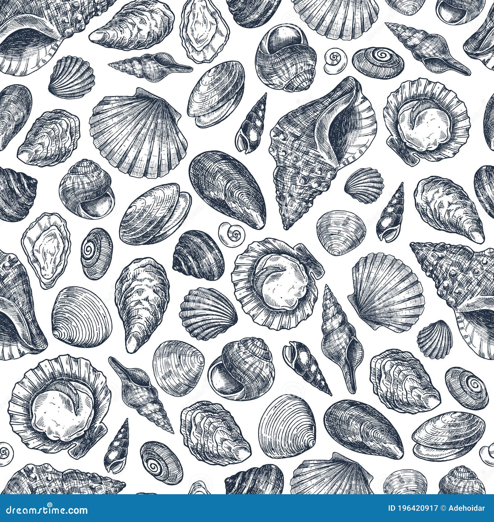 Seashell Vintage Seamless Pattern. Engraved Style Set. Various Shell ...