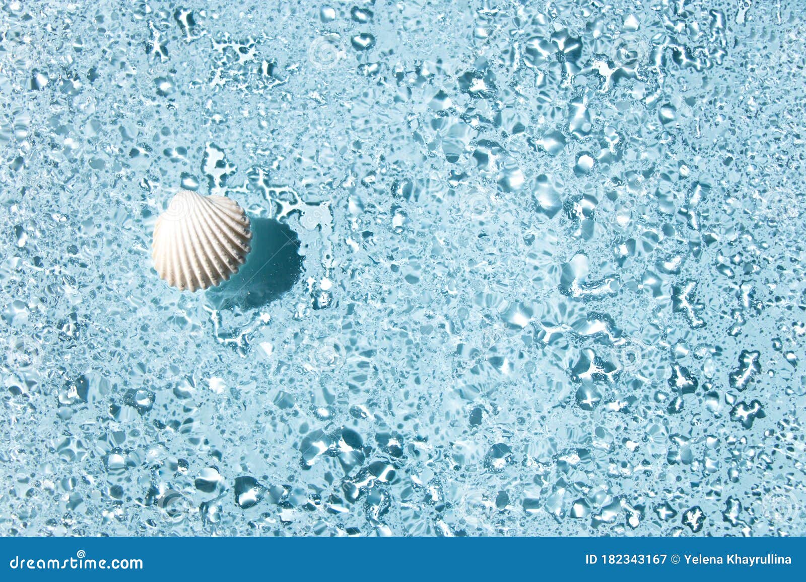 Seashell on Water Drops on Glass on Blue Background with Copy Space ...