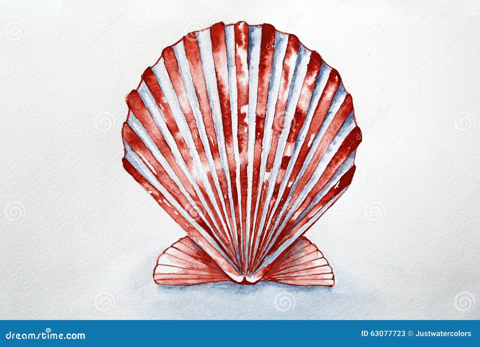Seashell watercolor stock illustration. Illustration of orange - 63077723
