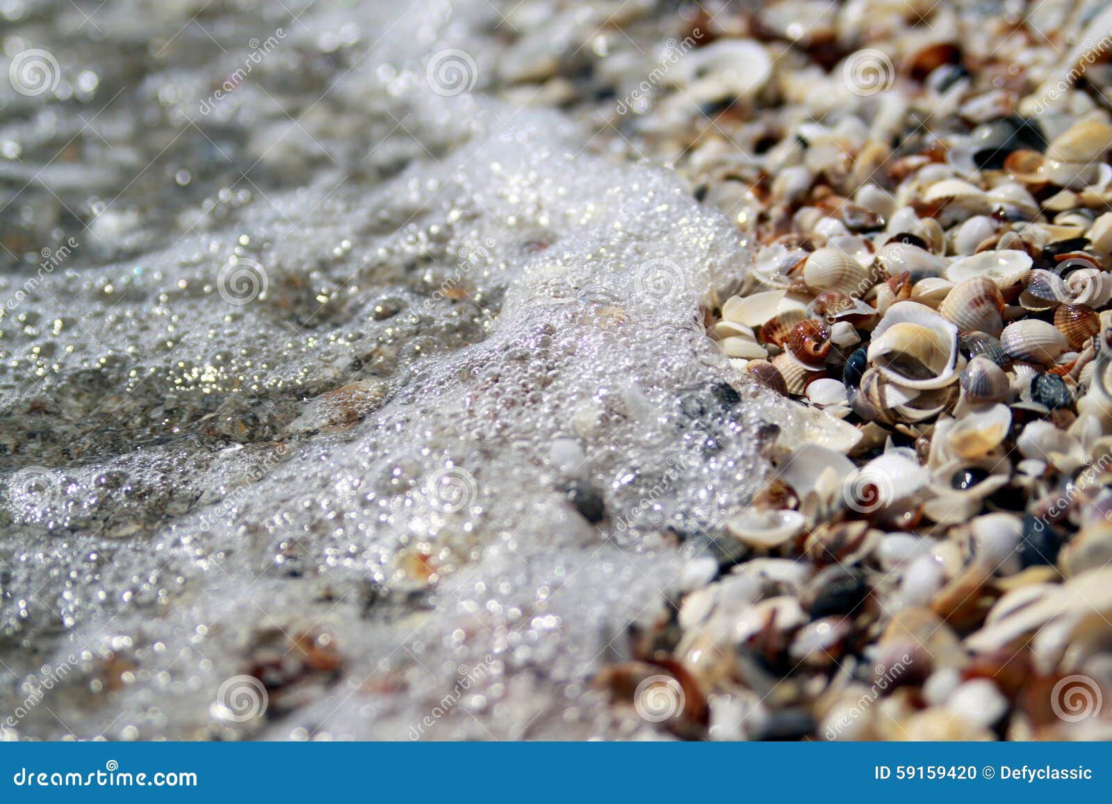 Seashell and Wave Backgrounds Stock Photo - Image of collected ...