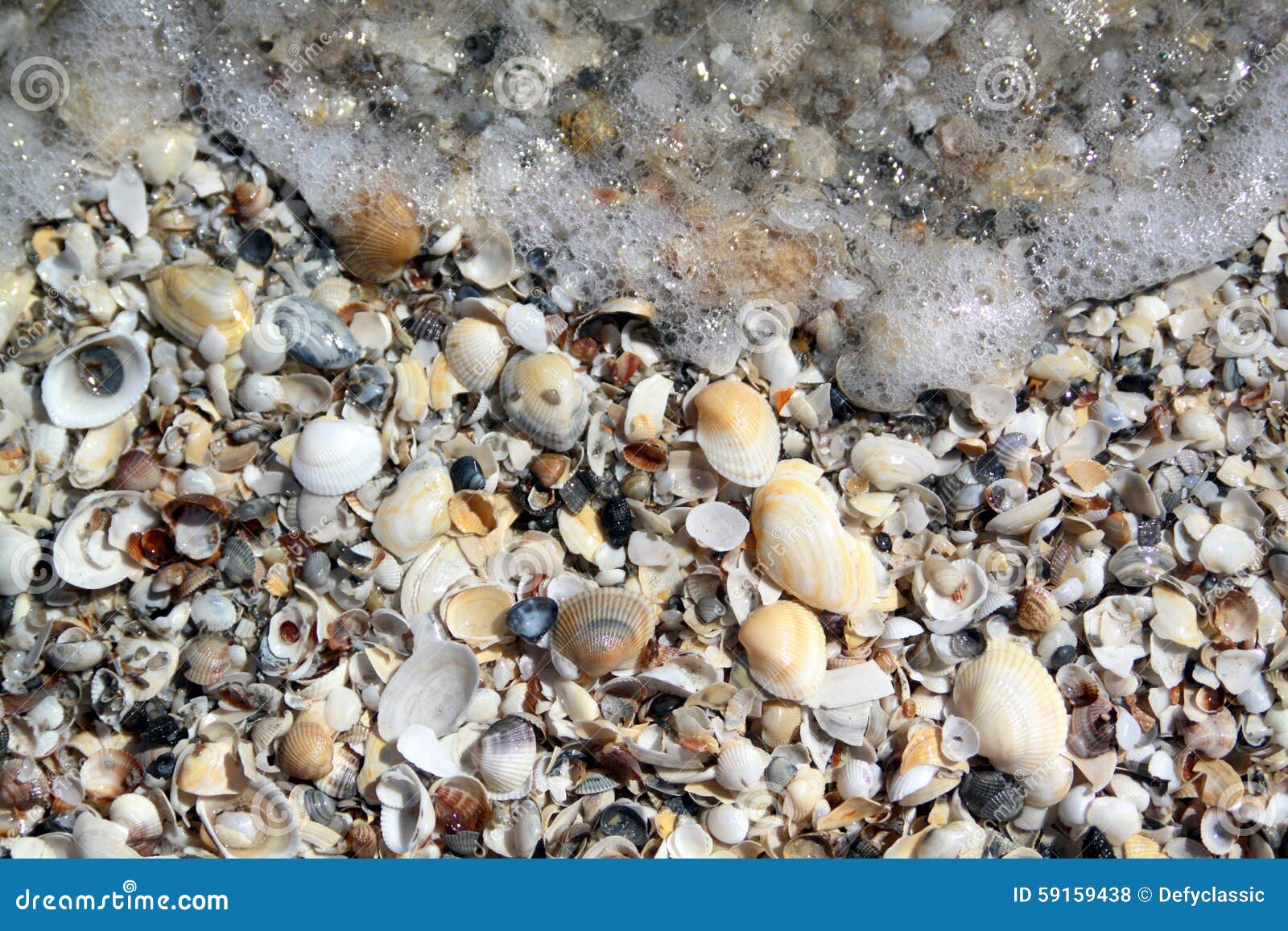 Seashell and Wave Backgrounds Stock Photo - Image of covered, macro ...