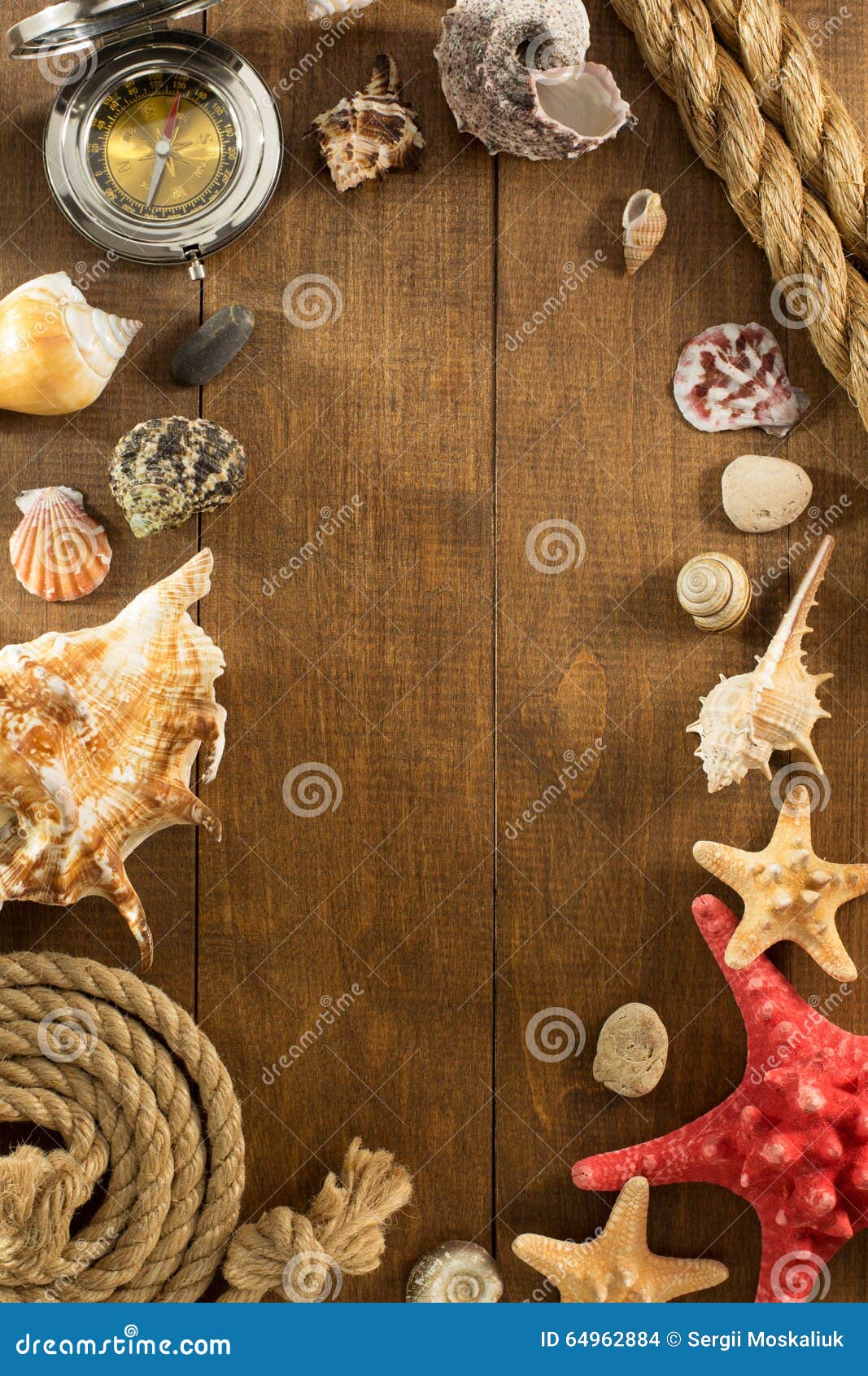 Seashell on Wooden Background Stock Photo - Image of nature, beach ...
