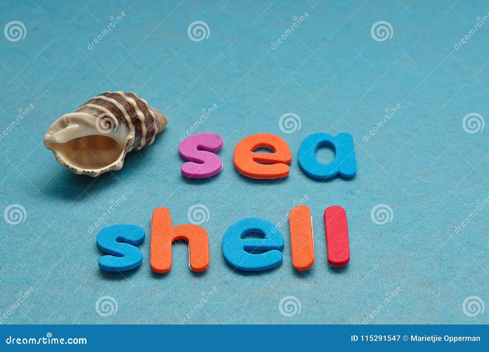 A Seashell with the Word Sea Shell Stock Image - Image of beach ...