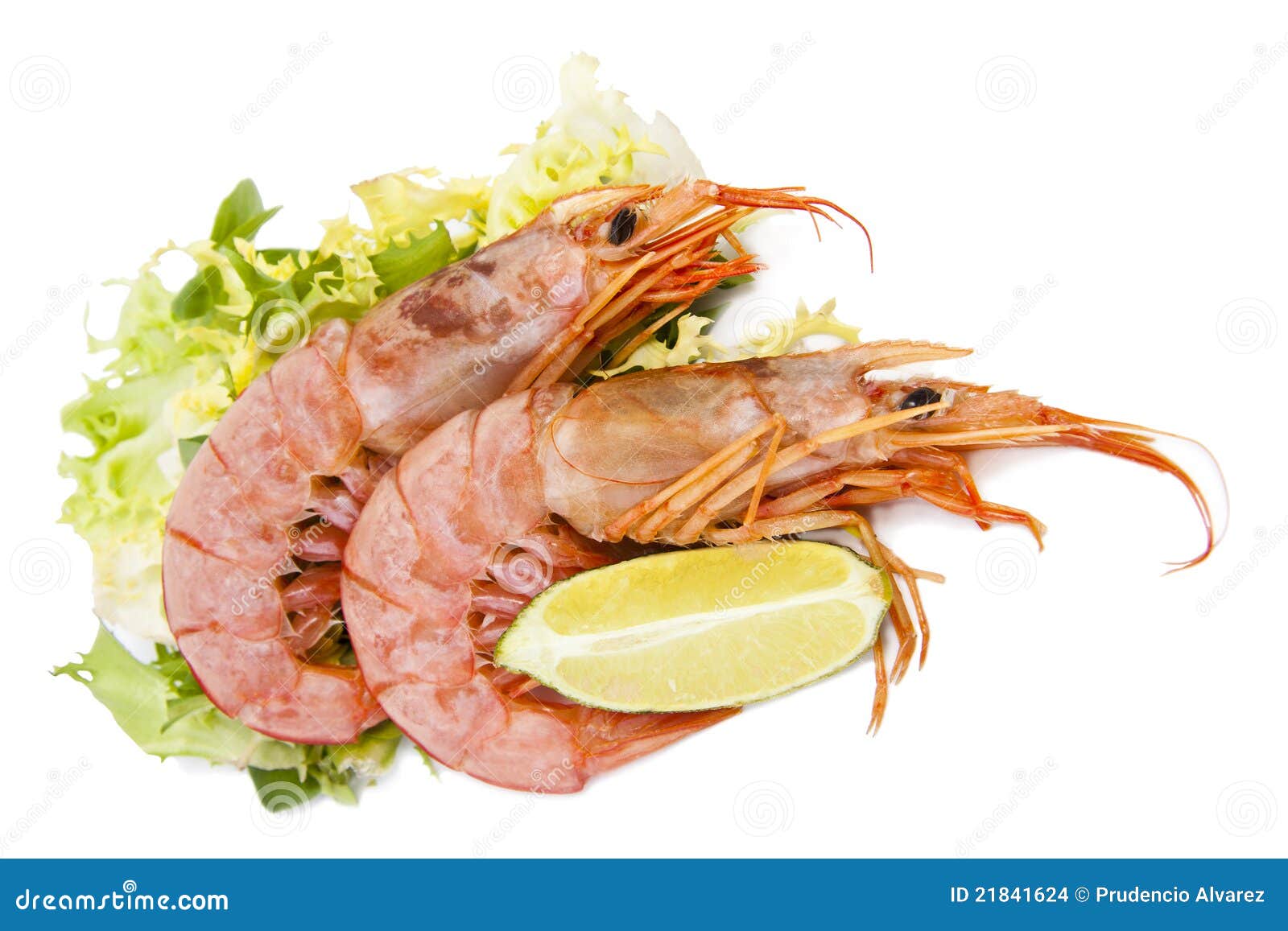 Seashells stock photo. Image of healthy, ingredient, cuisine - 21841624