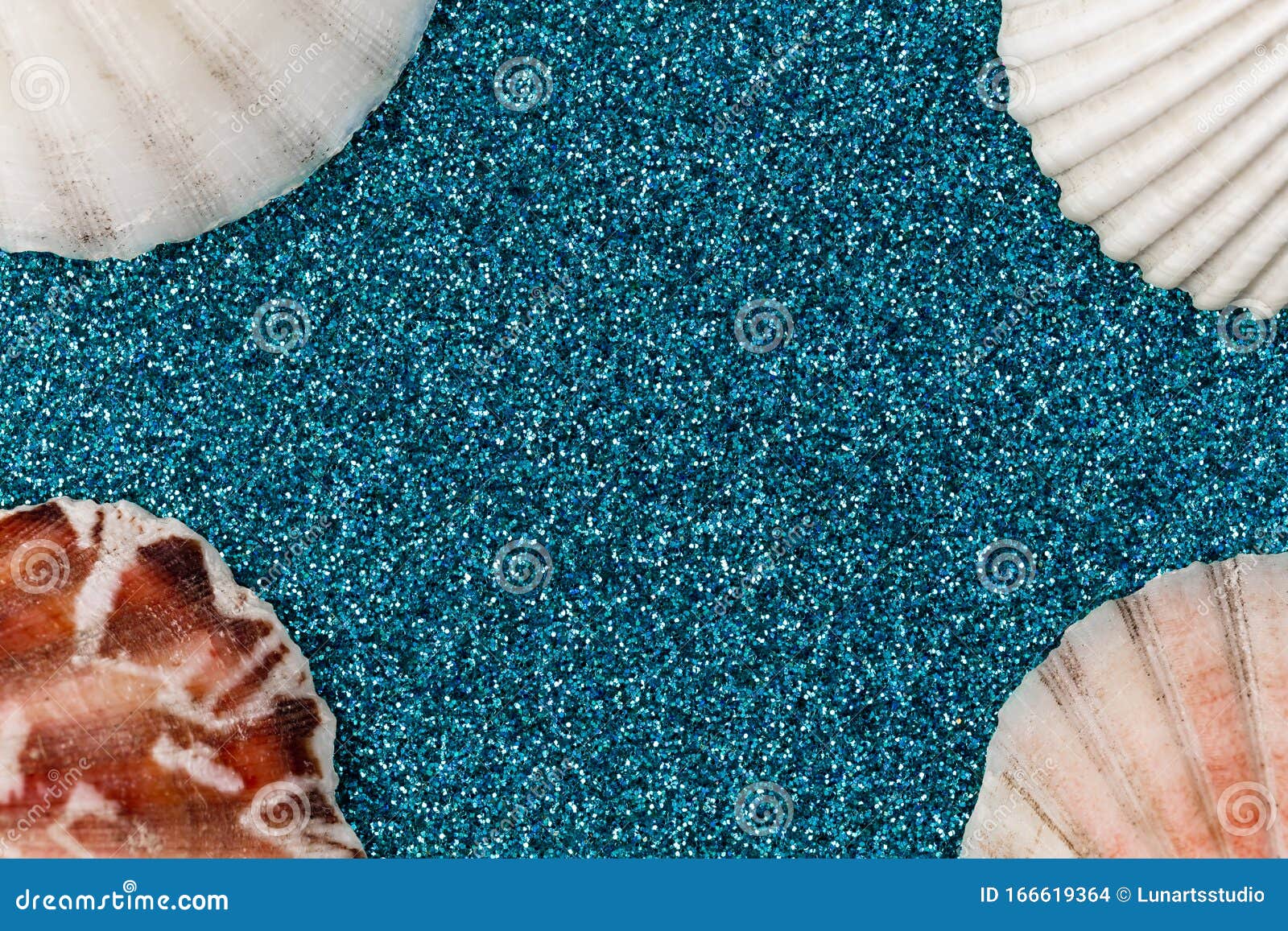Seashells on a Aqua Blue Glitter Background. Sea Shell Frame Stock ...