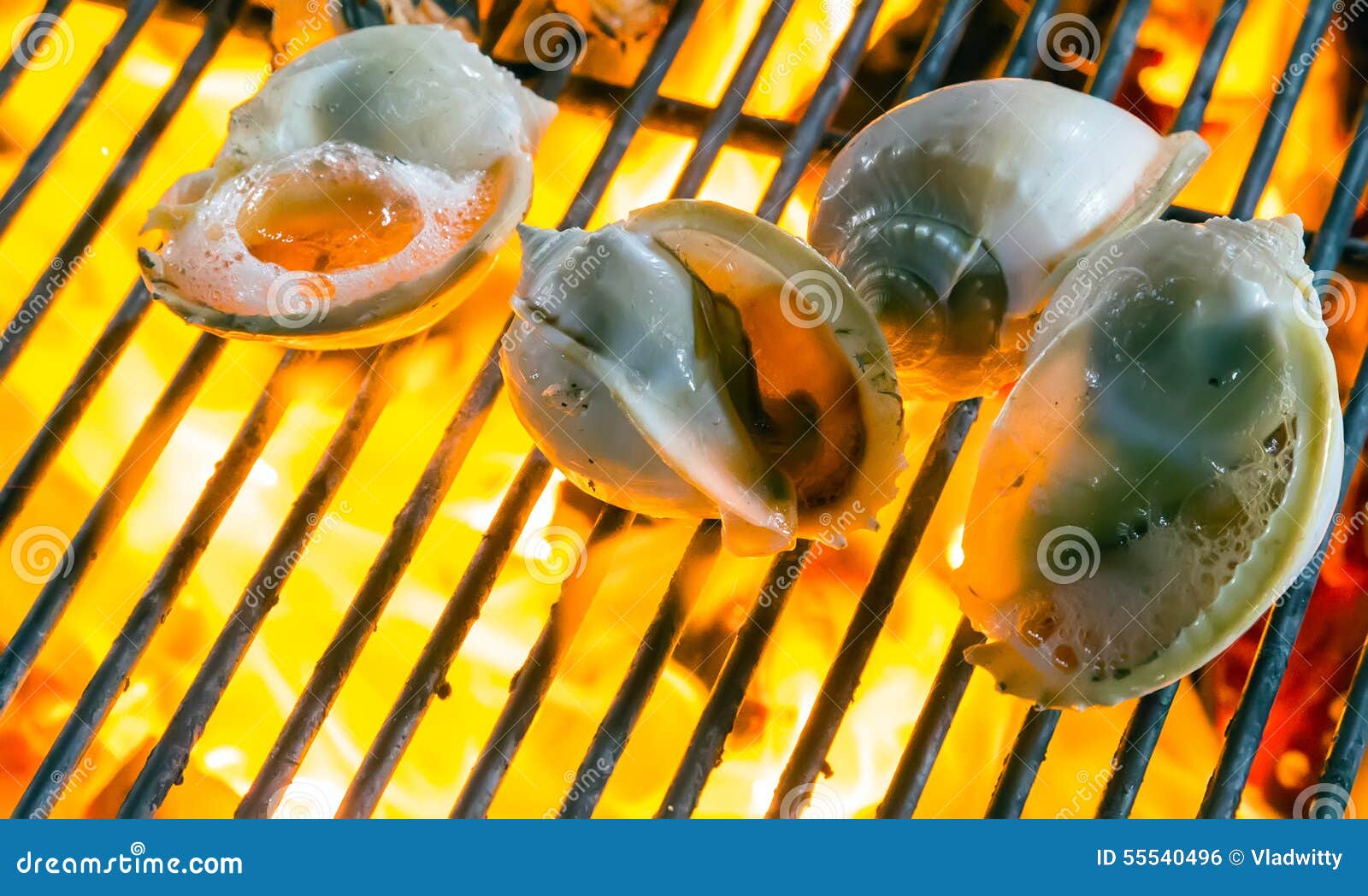 Barbecue Seashells Stock Photos - Free & Royalty-Free Stock Photos from ...