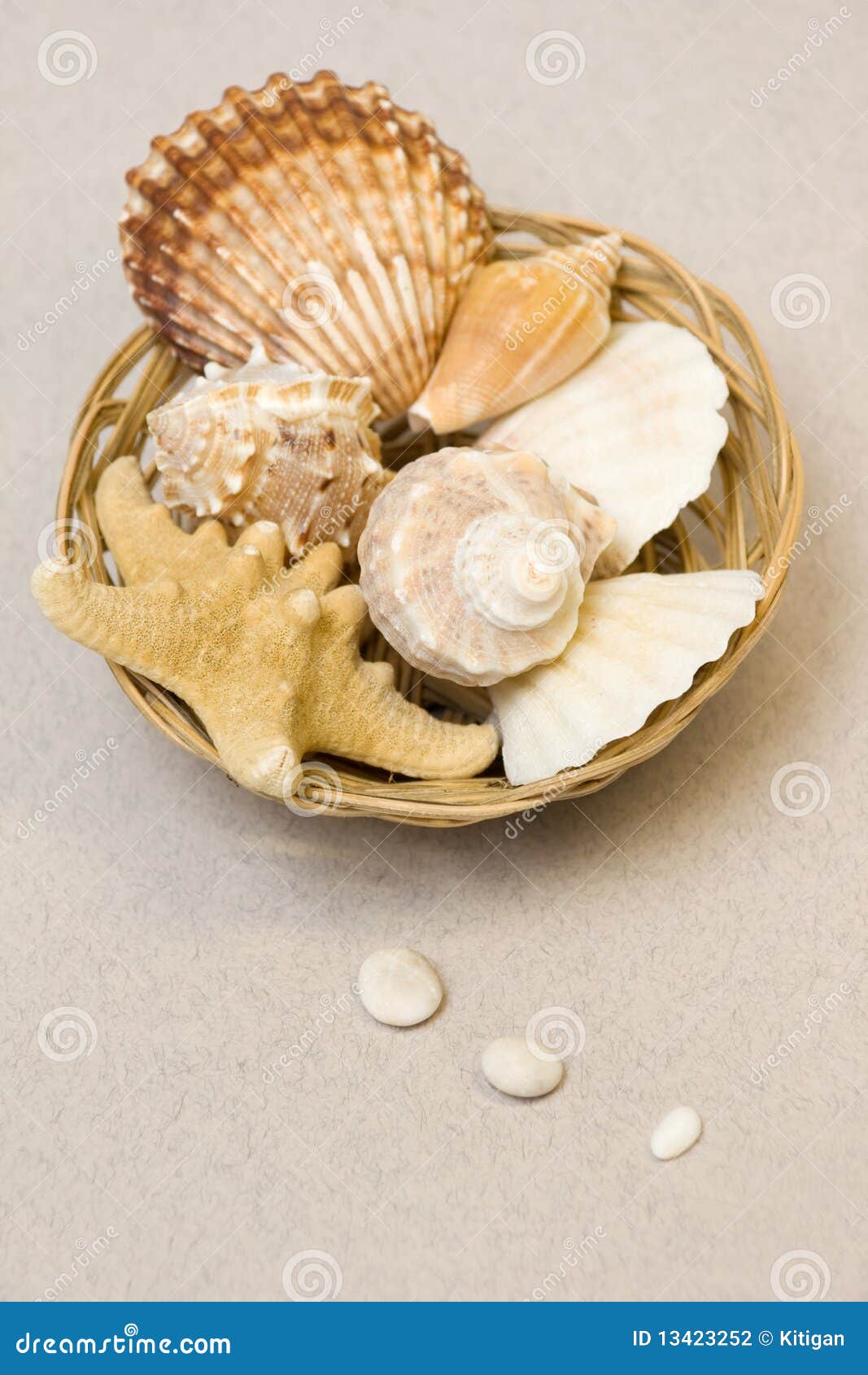 Seashells in Basket stock photo. Image of shell, fluff - 13423252