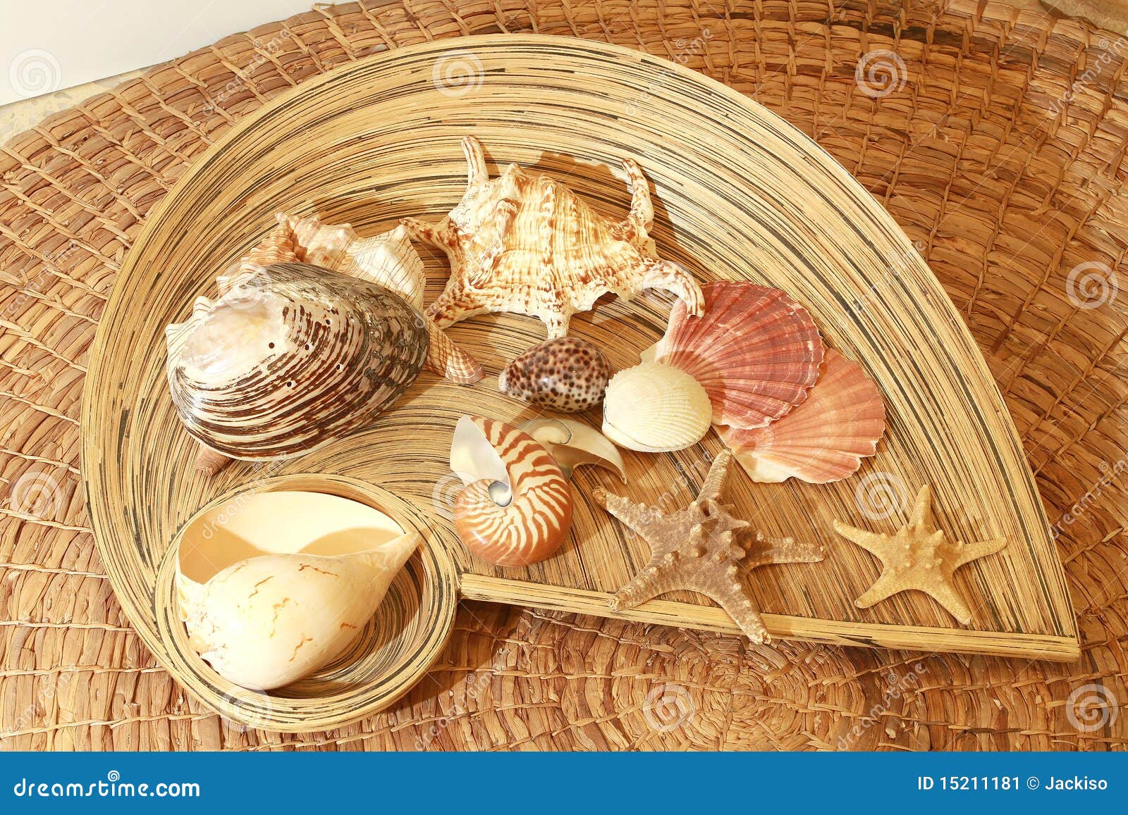 Seashells in basket stock image. Image of design, shell - 15211181
