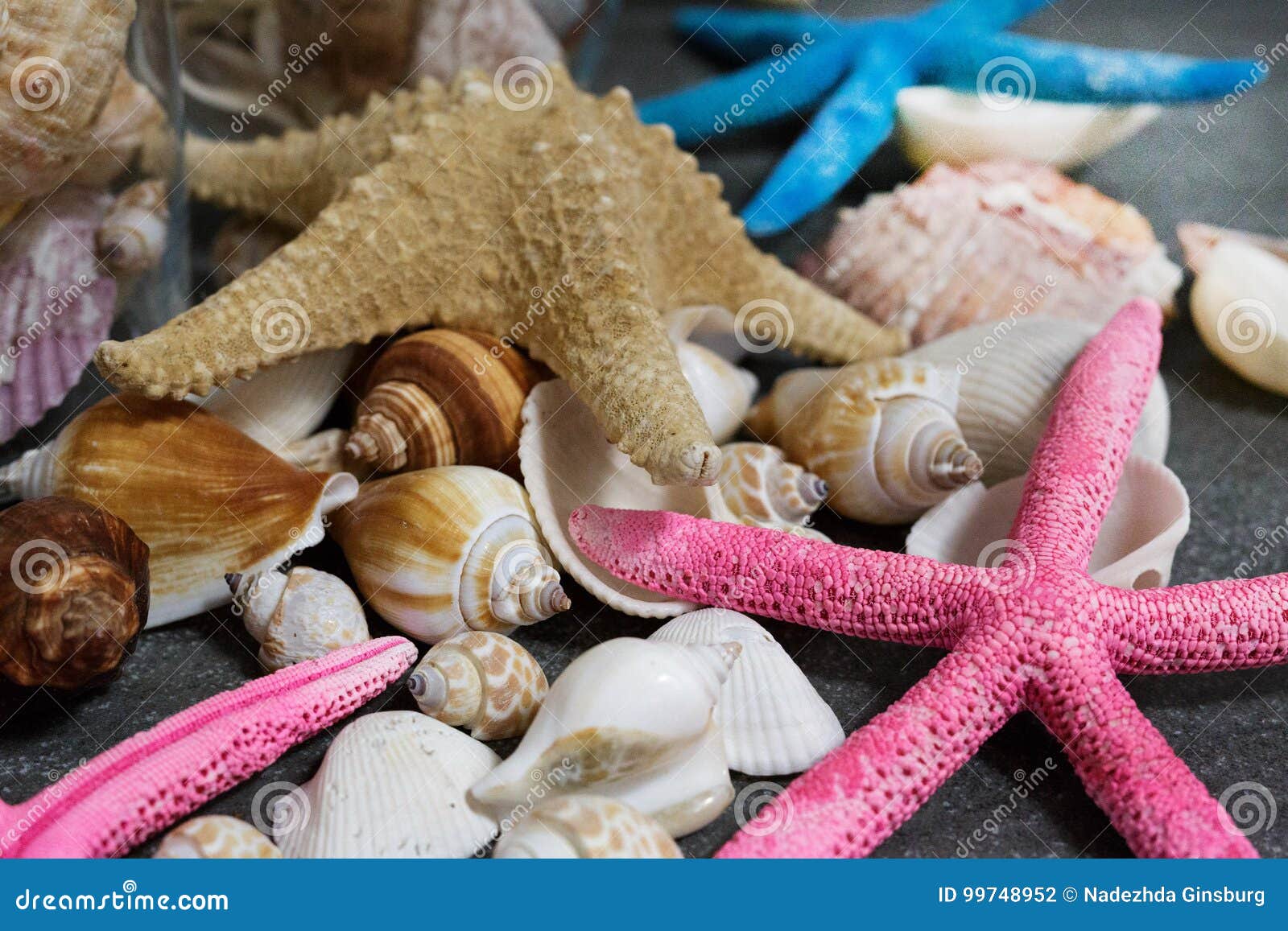 Seashells, Bath Decor in Nautical Style Stock Photo - Image of marine ...