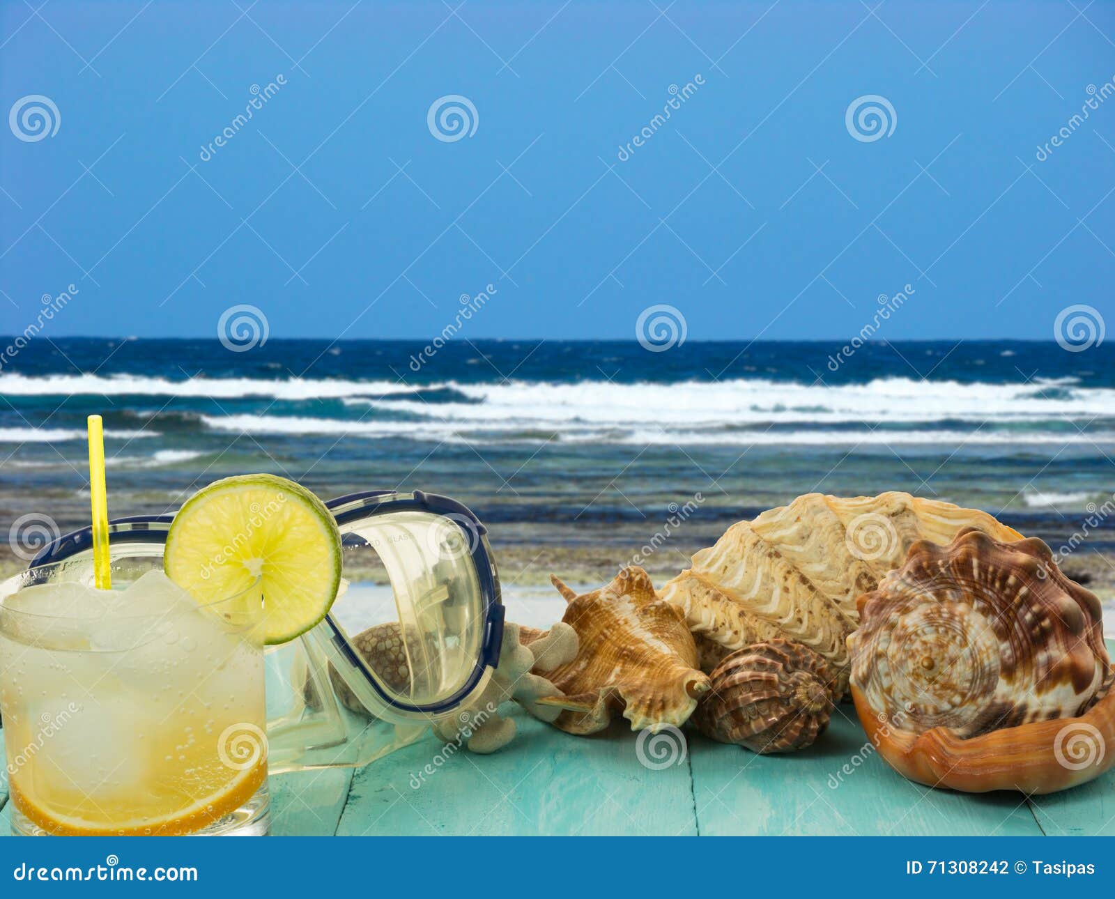 Seashells and Beach Cocktail Stock Photo - Image of close, refreshment ...