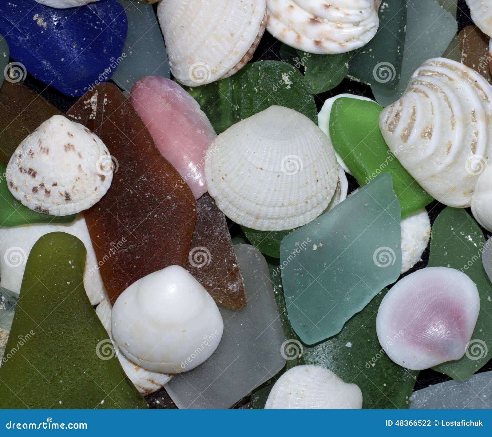 Seashells and Beach Glass stock photo. Image of beach - 48366522