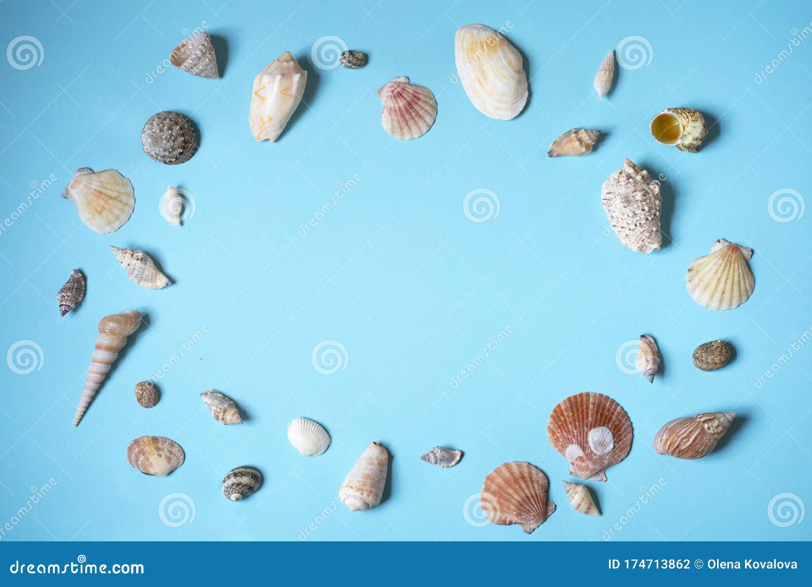 Seashells on the Blue Background Stock Photo - Image of background ...