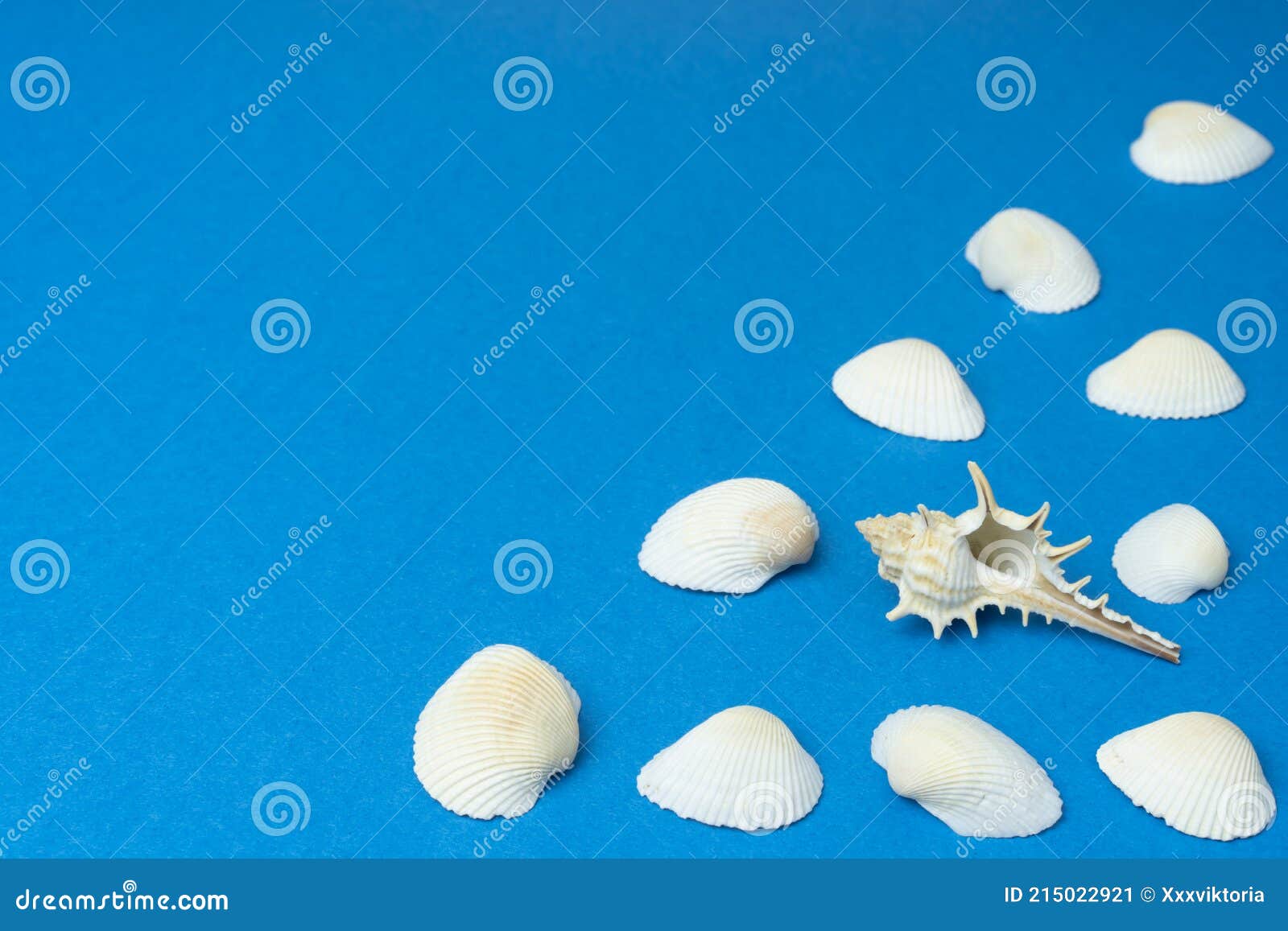 Seashells on Blue Background with Copy Space. Souvenirs from the ...