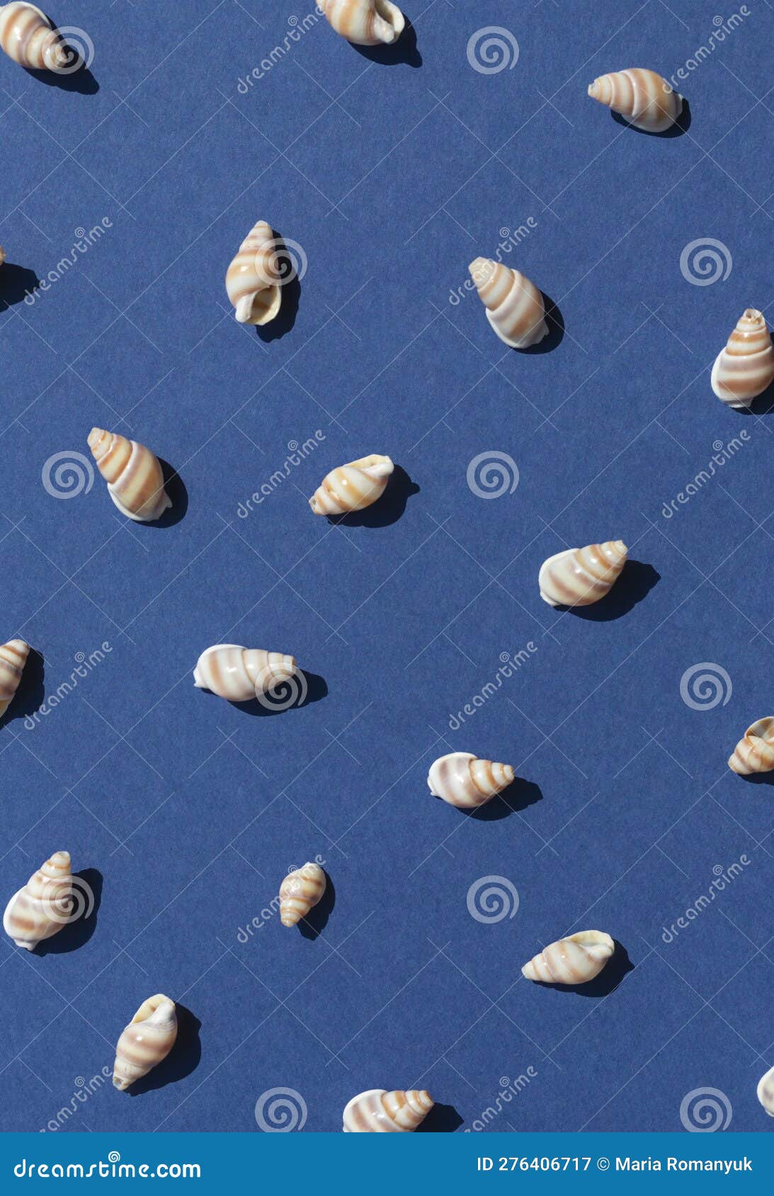 Seashells on the Blue Background Seamless Pattern Flat Lat. Stock Image ...