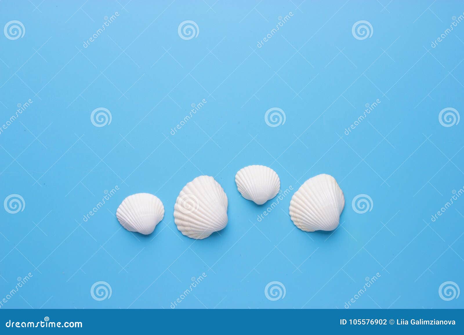 Seashells on Blue Background Stock Photo - Image of holiday, relax ...