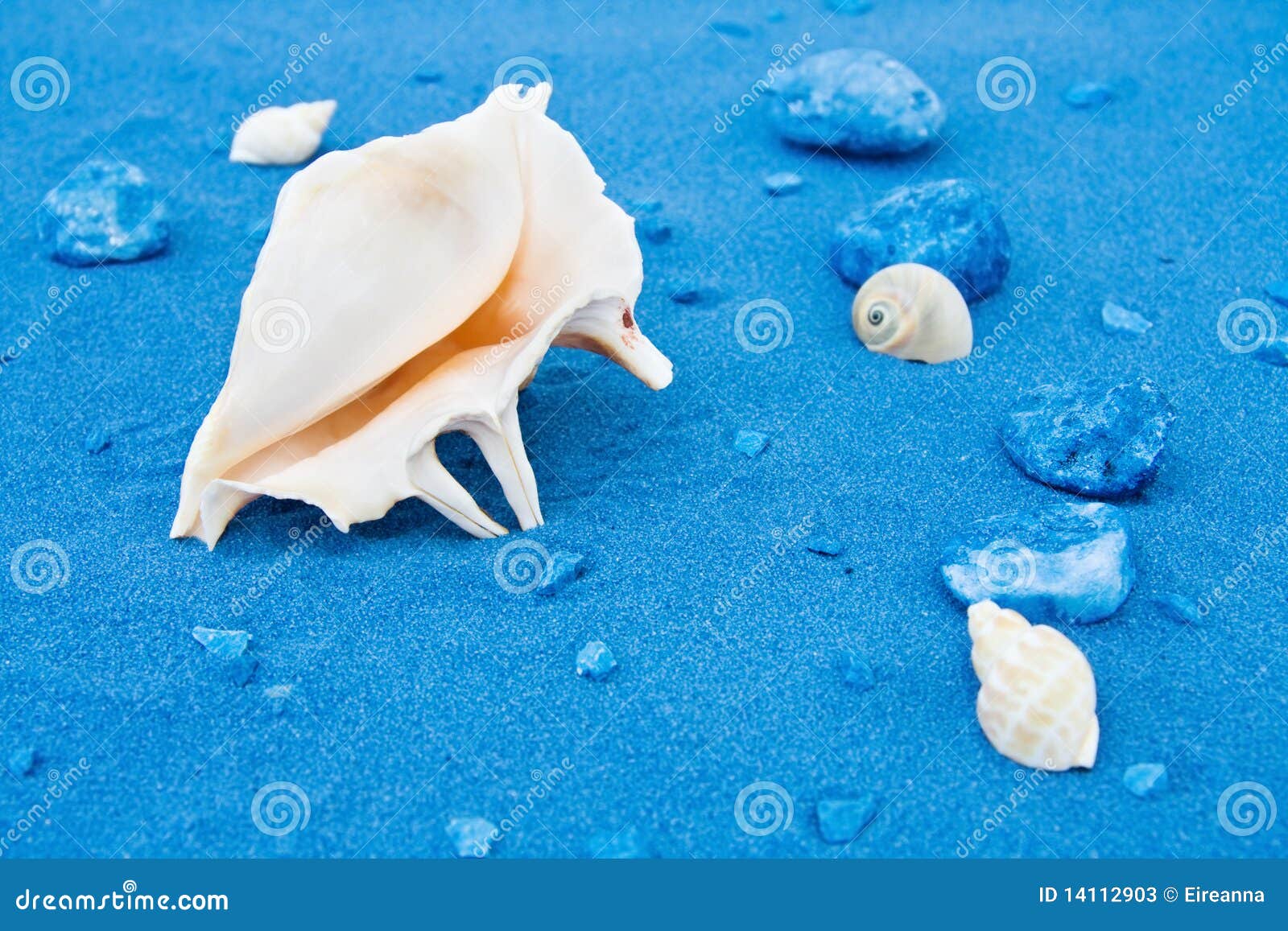 Seashells and blue sands stock image. Image of beach - 14112903